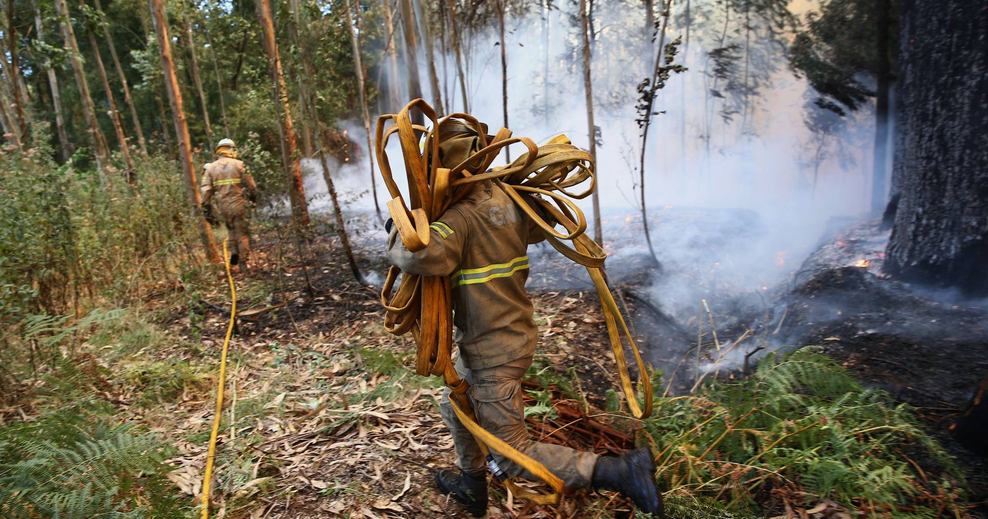 Mais de 600 operacionais combatem três grandes incêndios em Aveiro ...