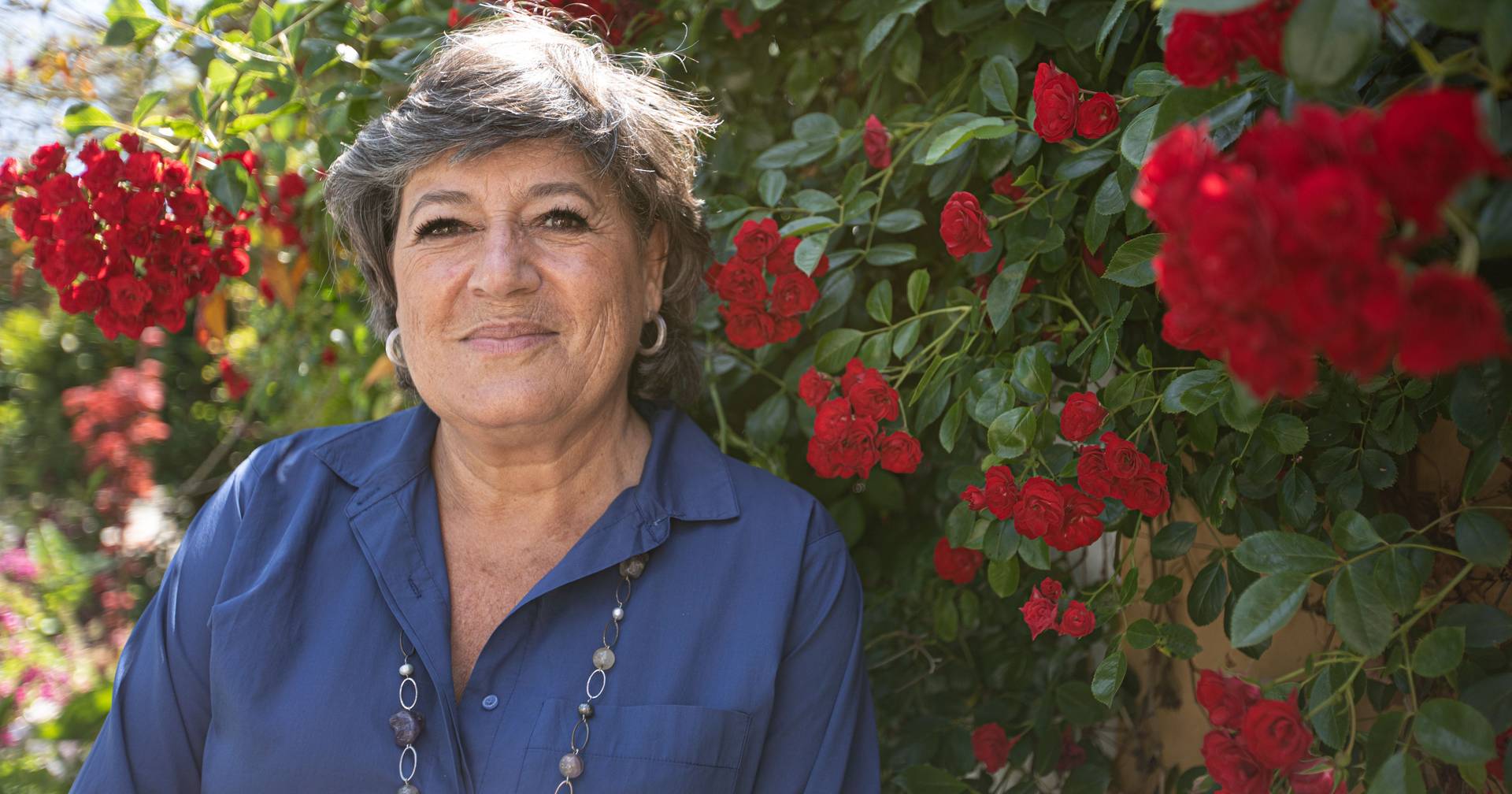 Ana Gomes - SIC Notícias