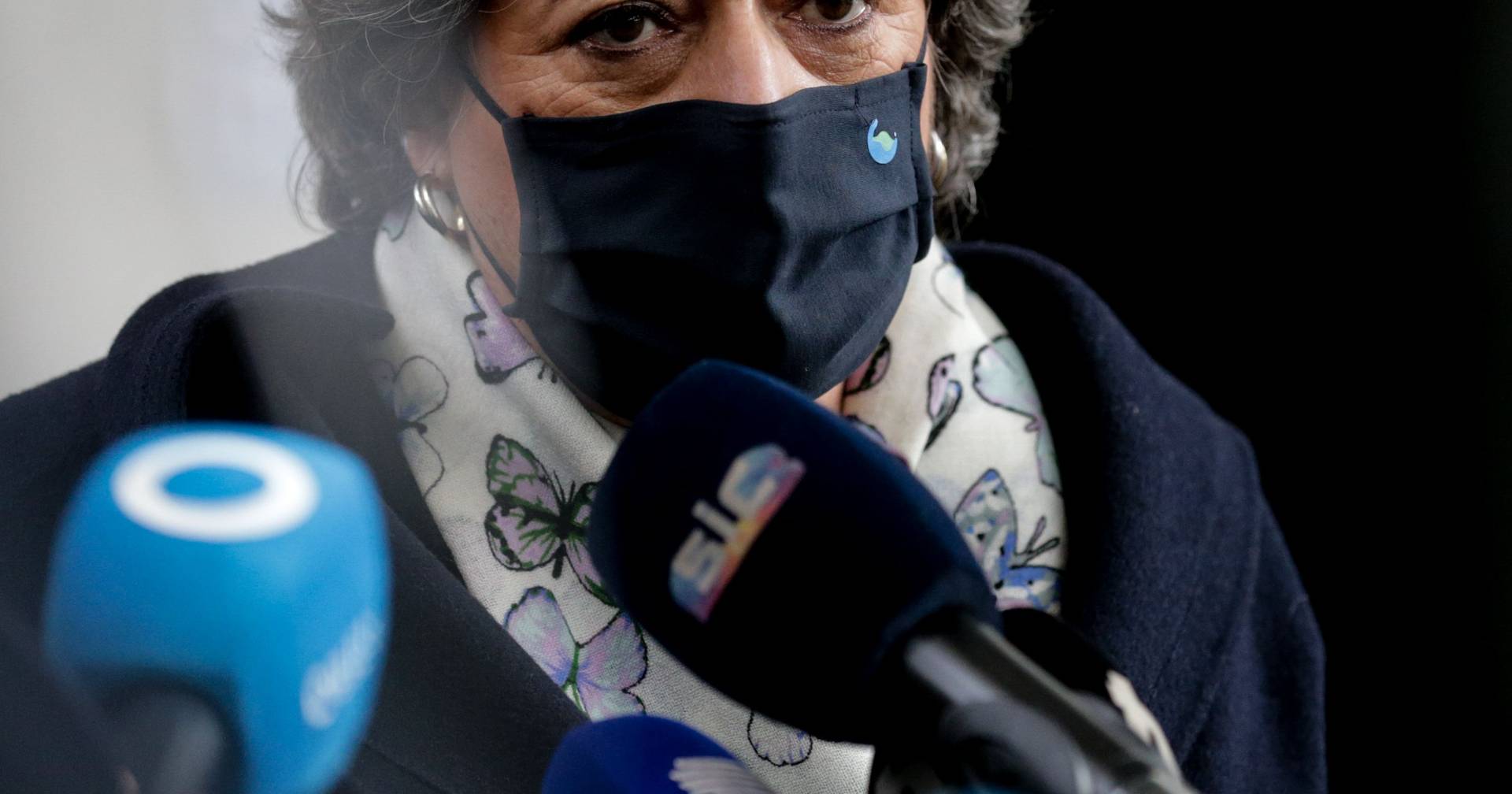 Presidenciais. Ana Gomes afirma querer travar o “centrão dos interesses ...