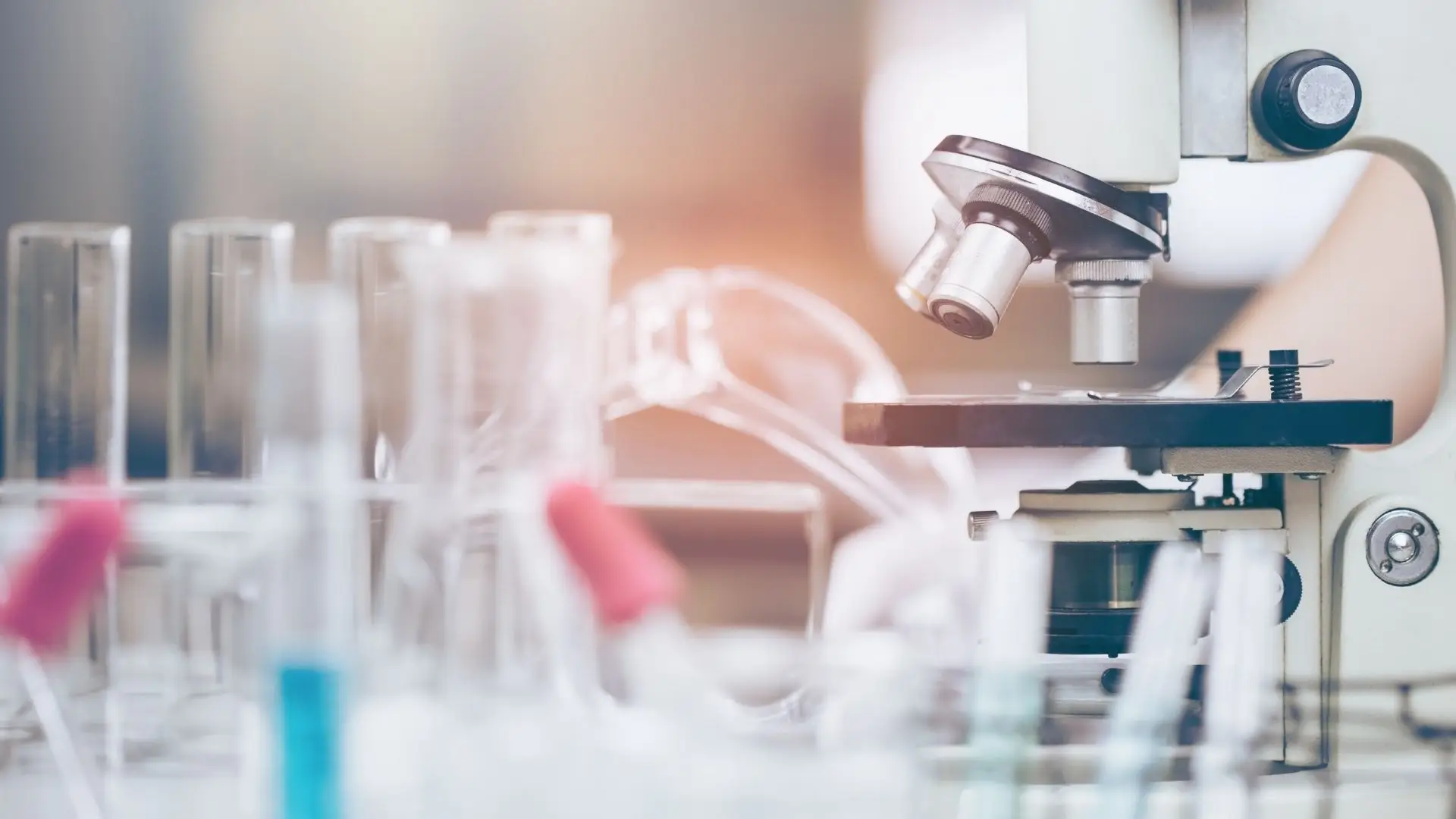 Dois cientistas portugueses integram Conselho de Editores de Revisão da ...