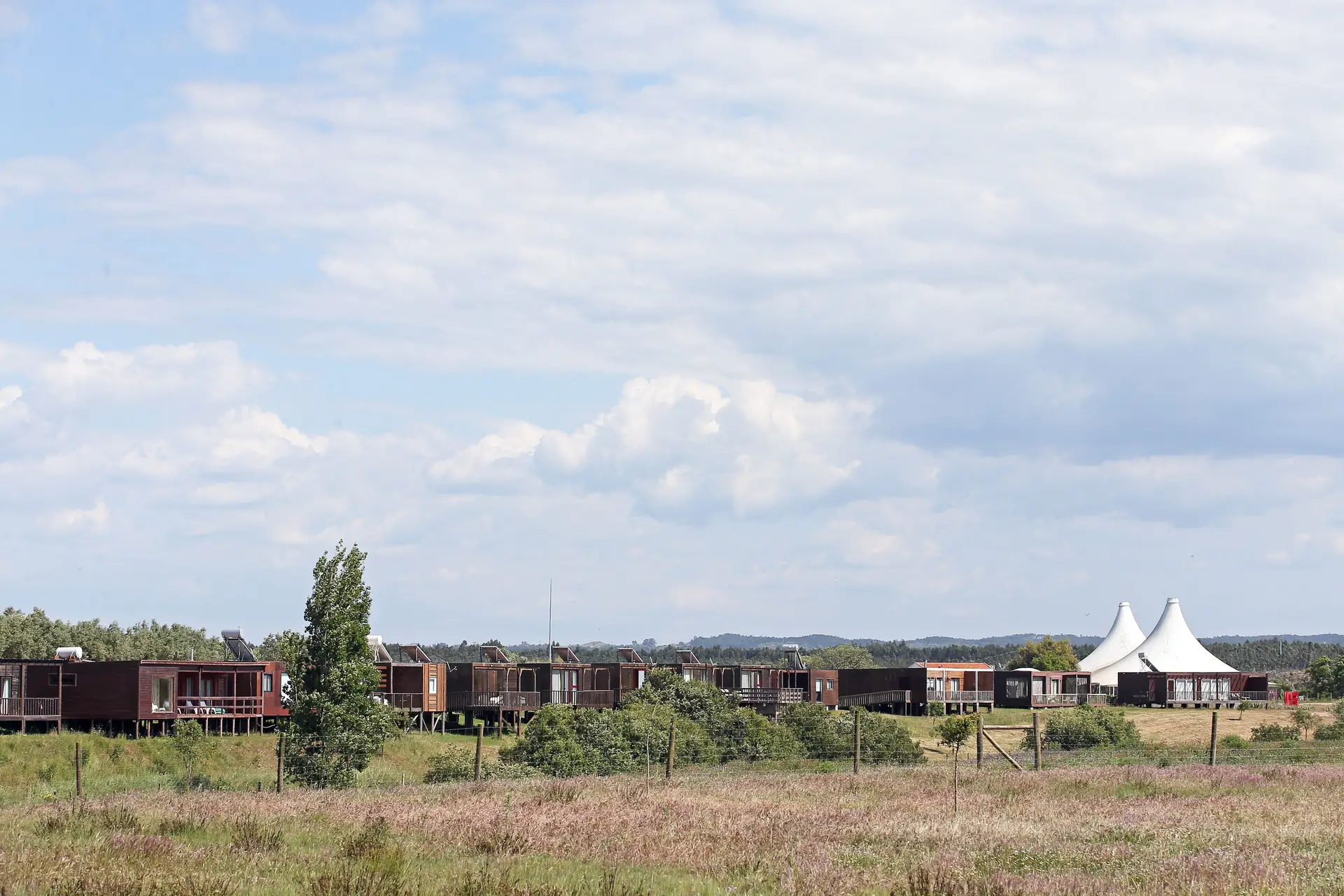 Empresa dona do Zmar está praticamente falida - SIC Notícias