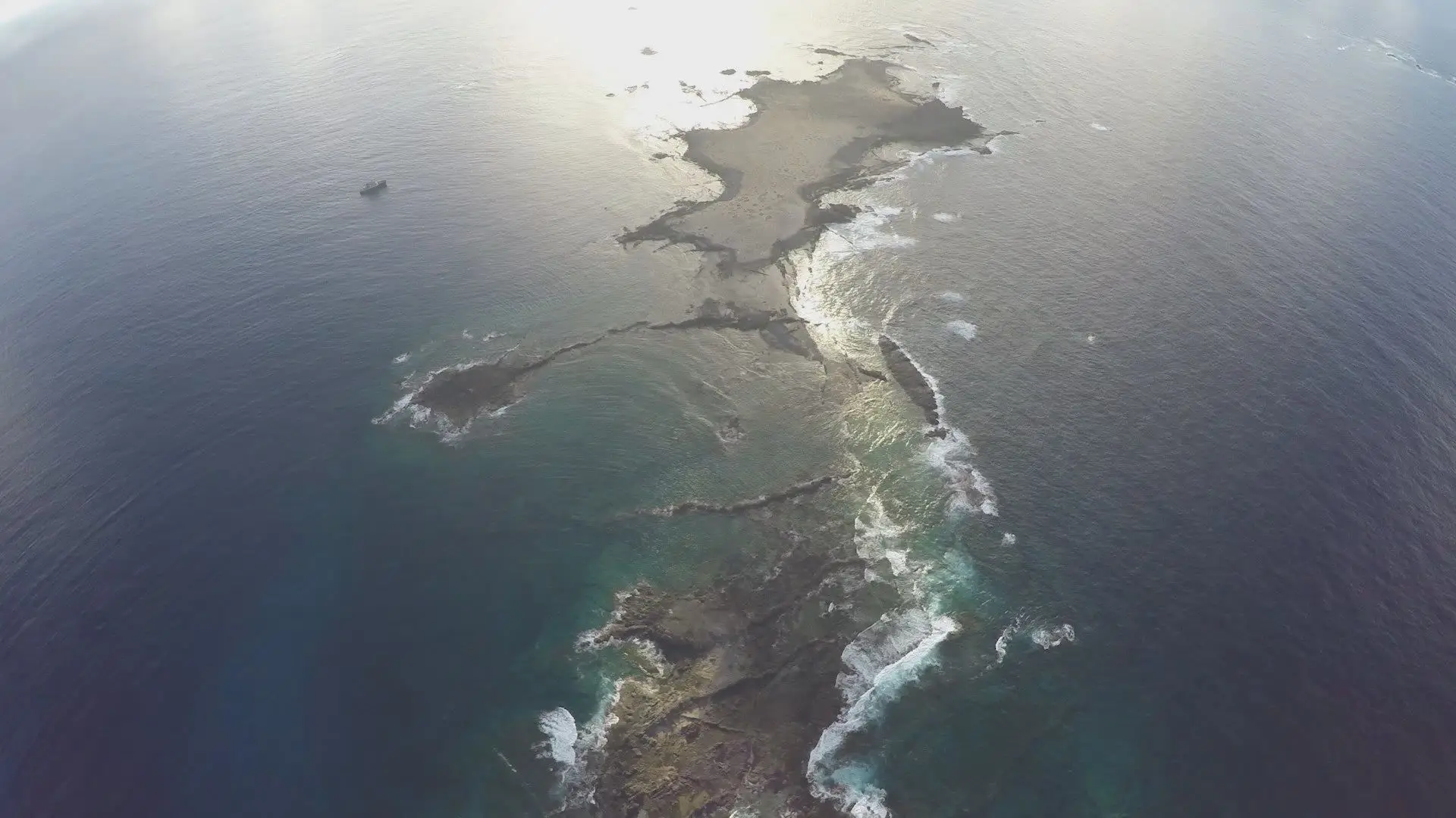 Ilhas Selvagens: reserva natural está em "bom estado" de conservação ...