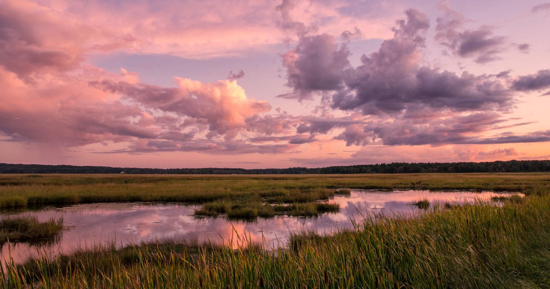 Preservação das zonas húmidas é essencial para o planeta e para quem ...