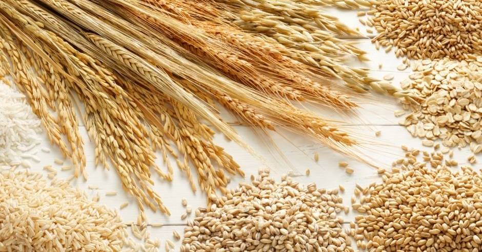 Portugal quer aumentar produção nacional de cereais em cerca de 20% ...