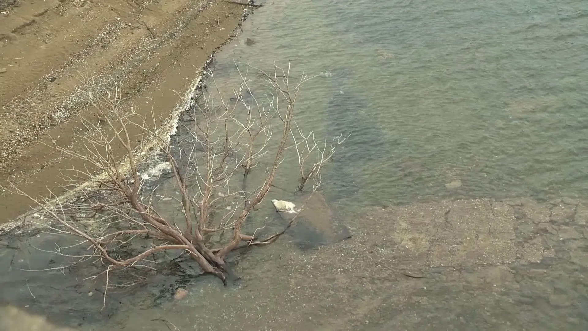 Albufeira da Barragem de Castelo de Bode com cota mais baixa dos ...