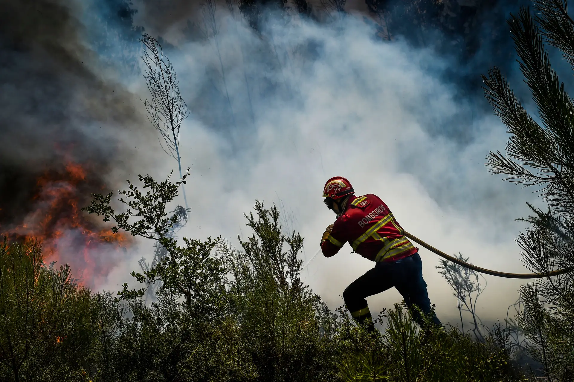 Bombeiros de várias corporações combatem incêndio florestal em Arouca ...