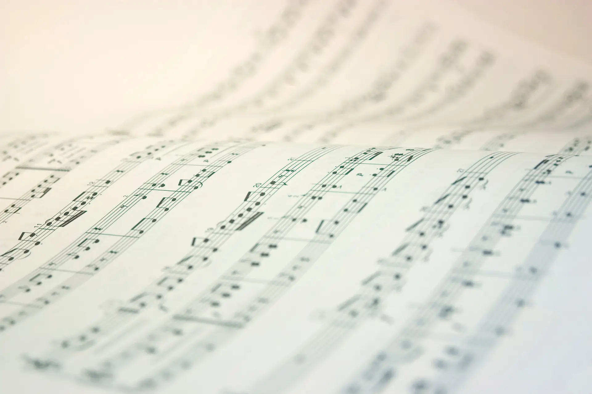 Musicólogo Edward Ayres de Abreu é o novo diretor do Museu Nacional da ...