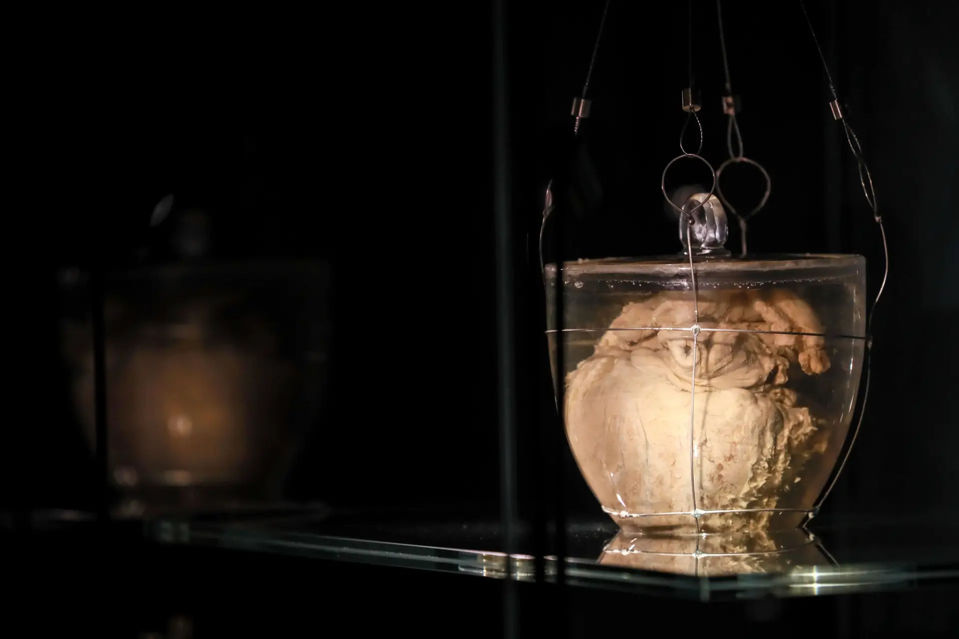 Quem foi D. Pedro IV? O rei que deu o coração ao Porto - SIC Notícias