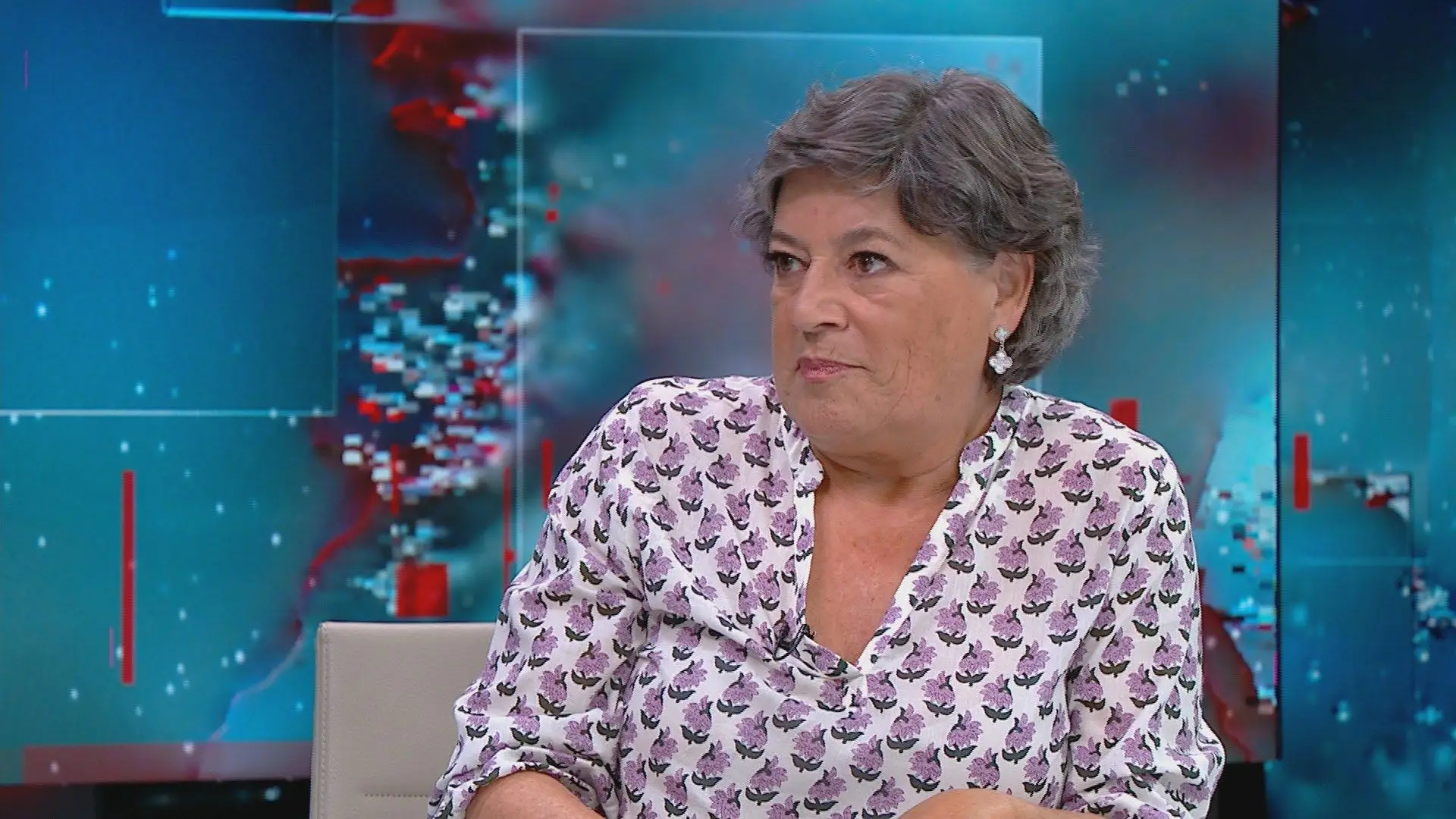 Ana Gomes critica chegada de navio com gás russo a Portugal - SIC Notícias