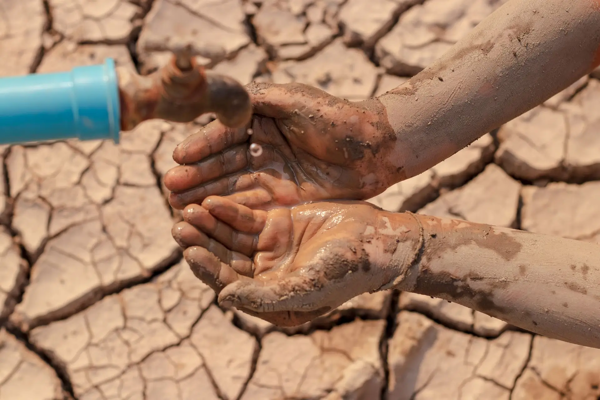 Algumas consequências da seca na vida de milhões de pessoas em todo o ...