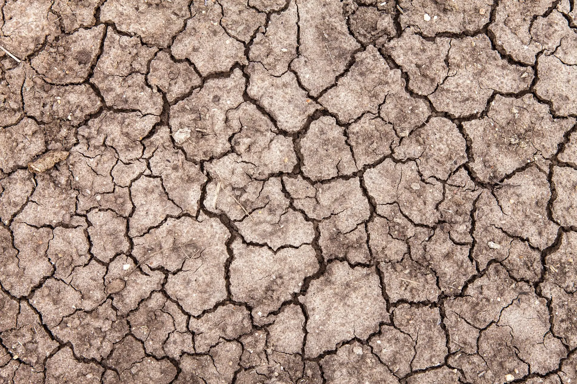 Os achados históricos que a seca severa deixa a descoberto - SIC Notícias