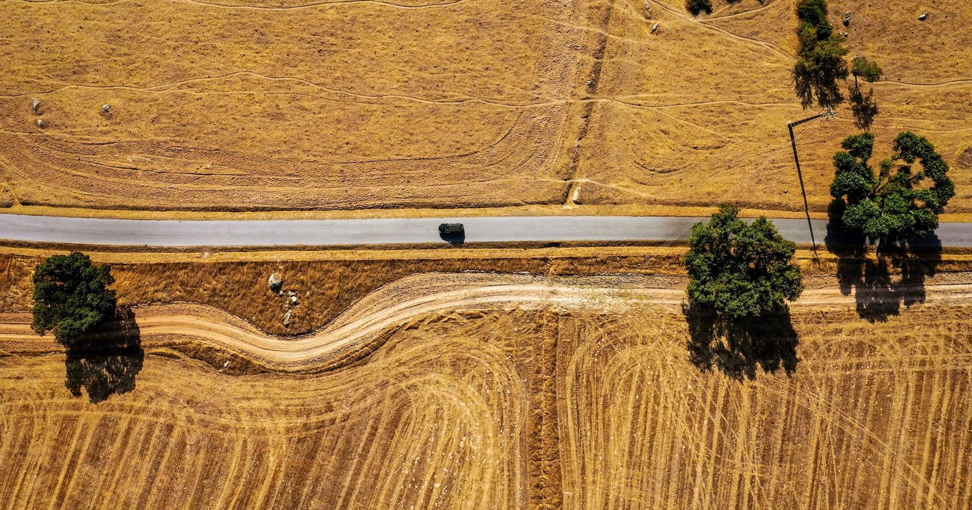 Chuva ajudou nos pastos no Alentejo, mas não resolve seca - SIC Notícias