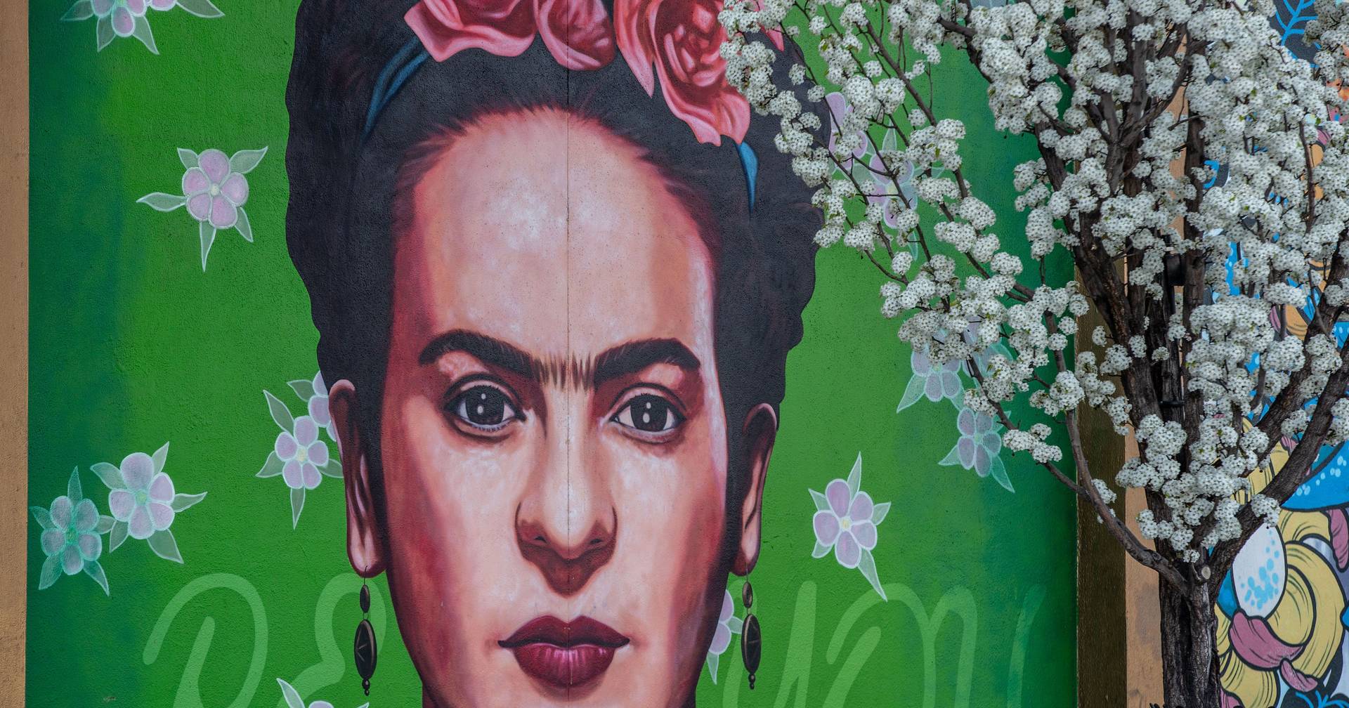 Investigan En México Supuesta Destrucción De Obra De Frida Kahlo Jla