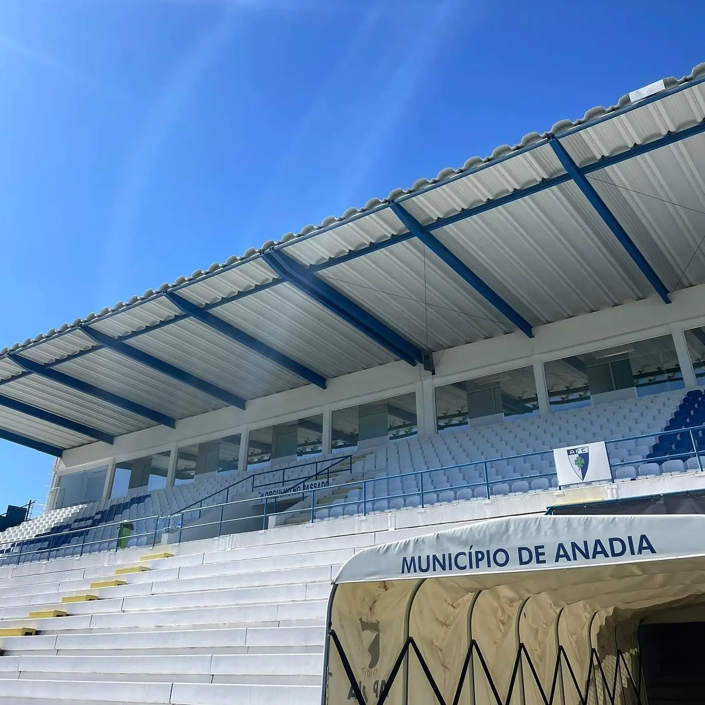 Anadia - FC Porto ao minuto - SIC Notícias