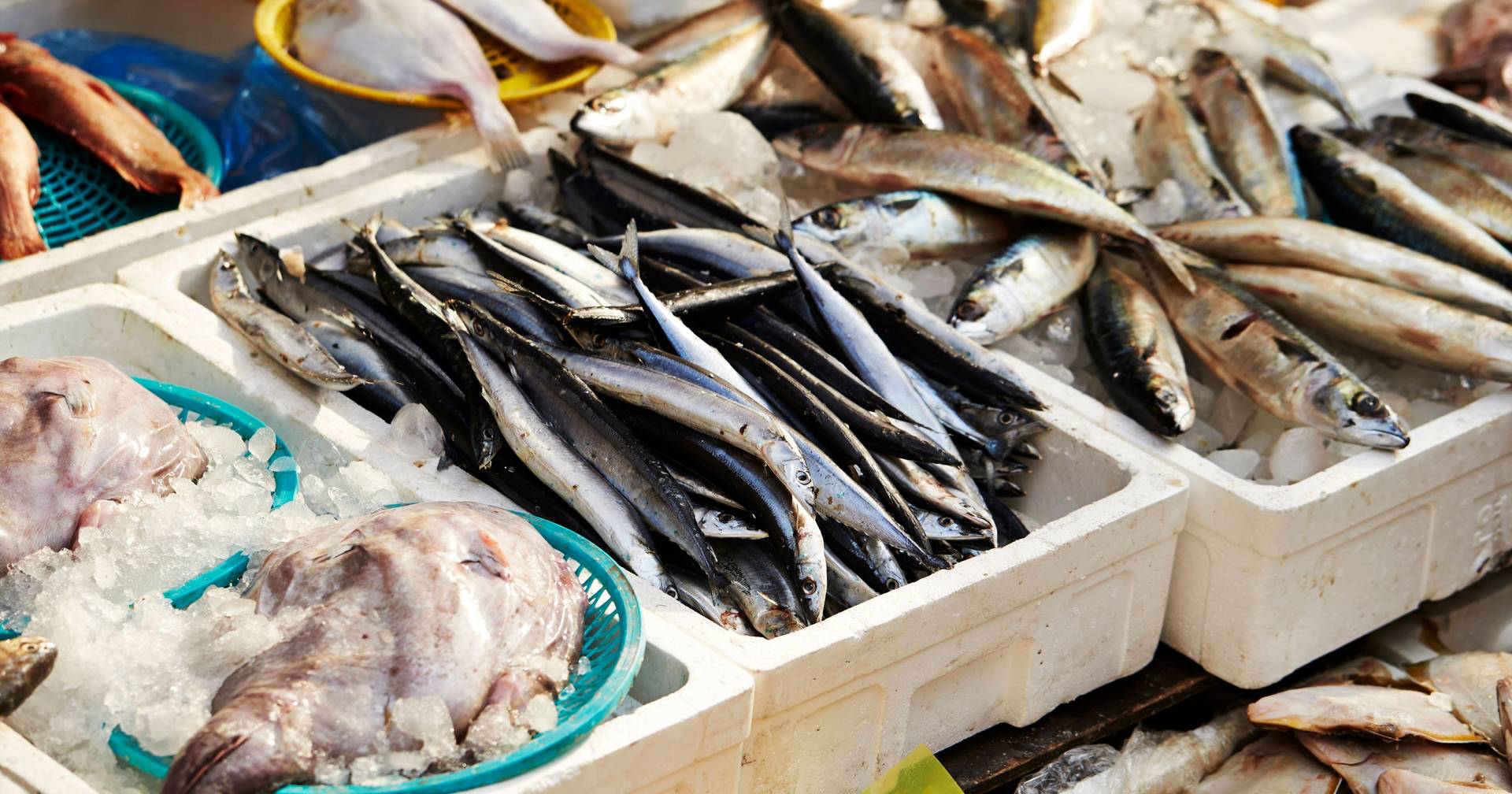 "As pessoas fogem à barriga": mercado do peixe da Costa Nova com falta ...