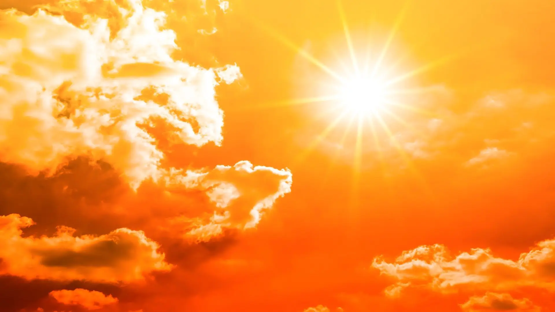 Calor extremo provocou cerca de 70 mil mortes na Europa em 2022, revela ...