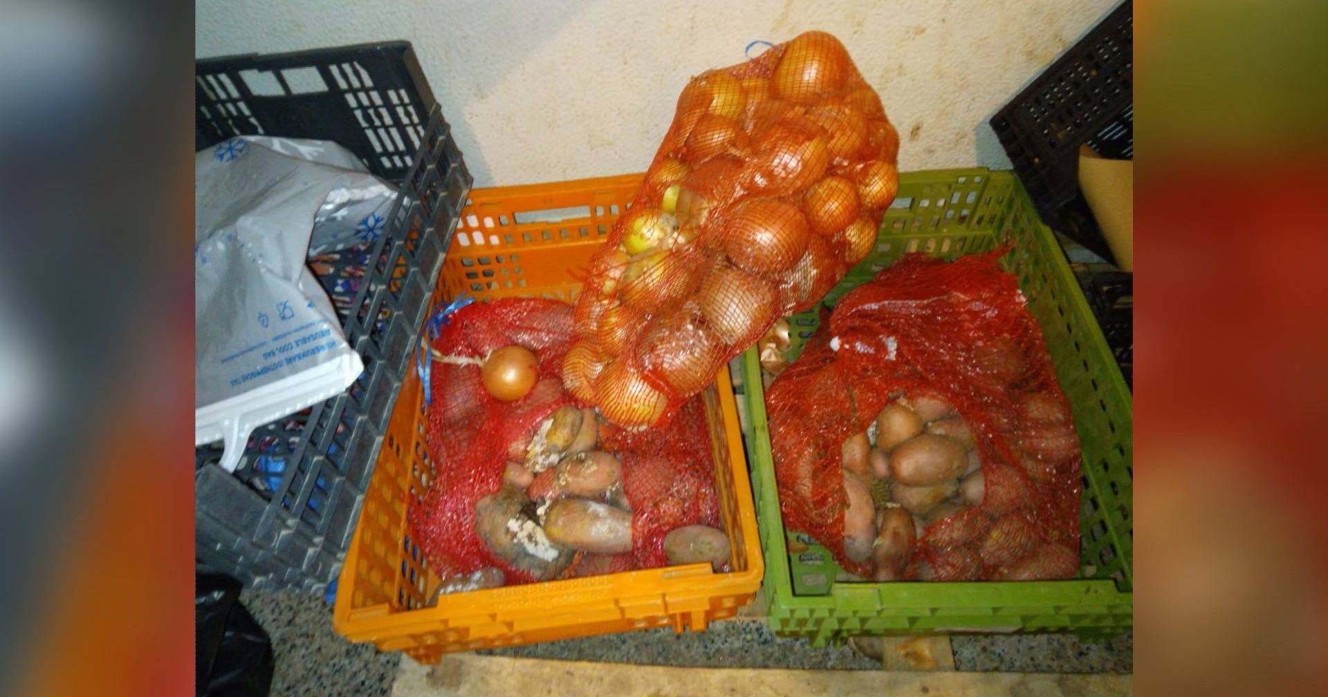 Lar sem condições no Montijo: os relatos de falta de comida, higiene e ...