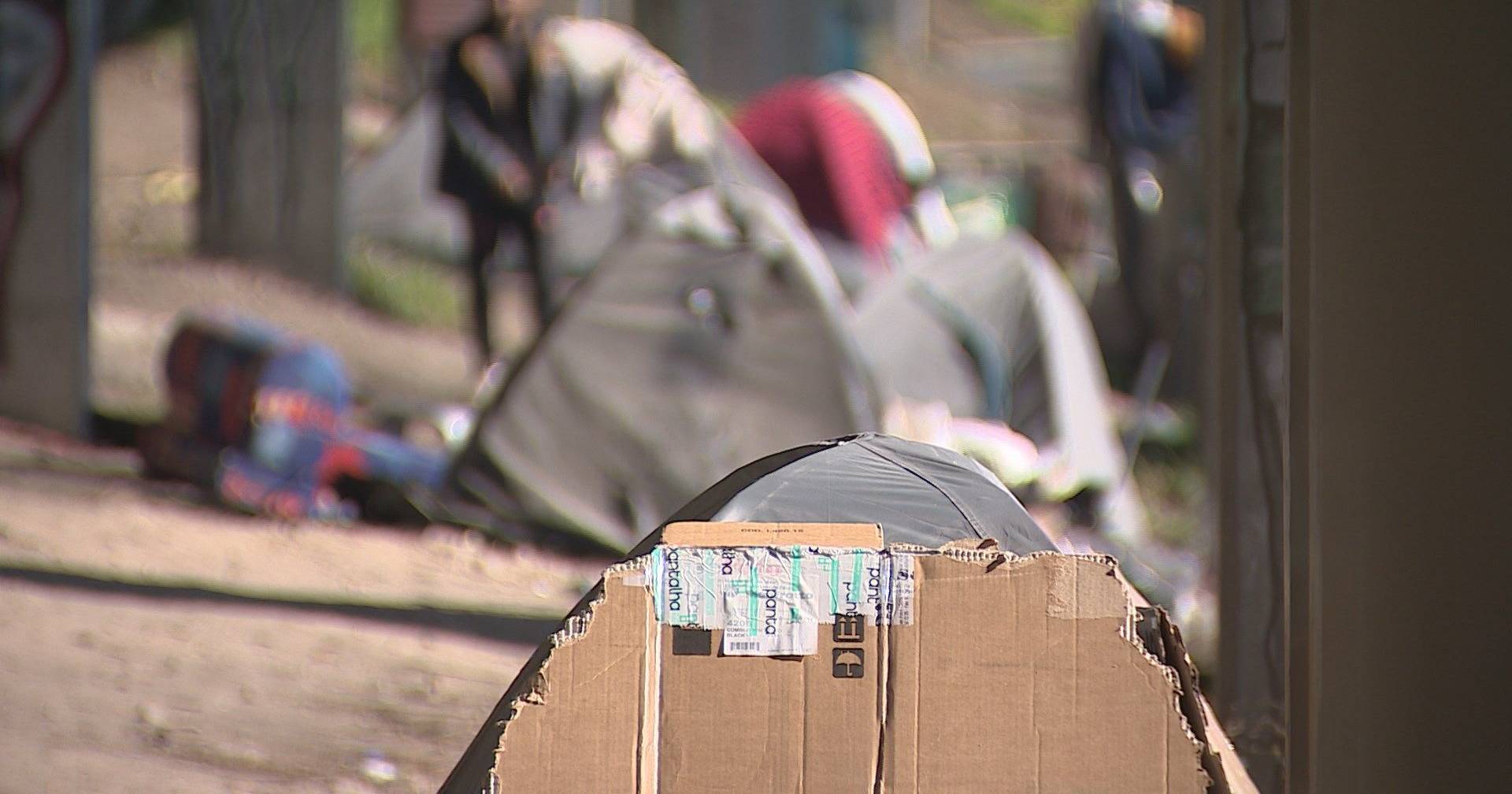 Exploração de imigrantes: "Achamos que a vítima é que está a infringir ...