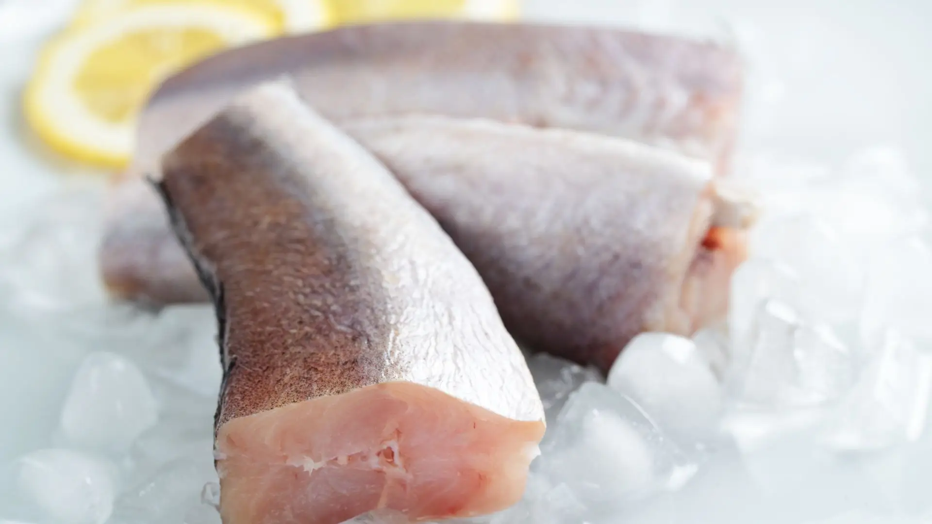 Consumo de pescada: cientistas alertam para potenciais riscos para a ...