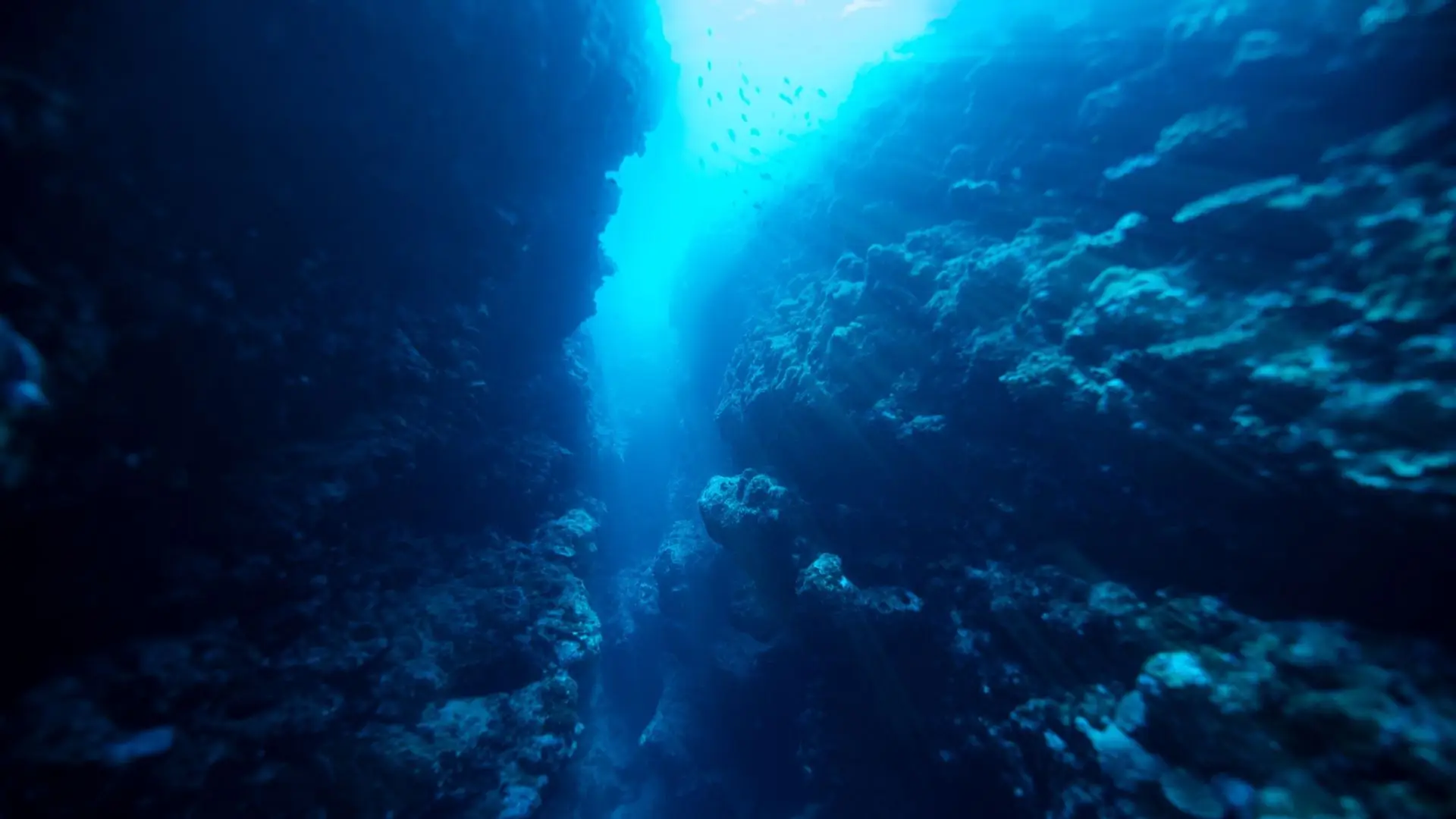 Submarino Titan: "Estamos muito longe de exercer turismo" no fundo do ...