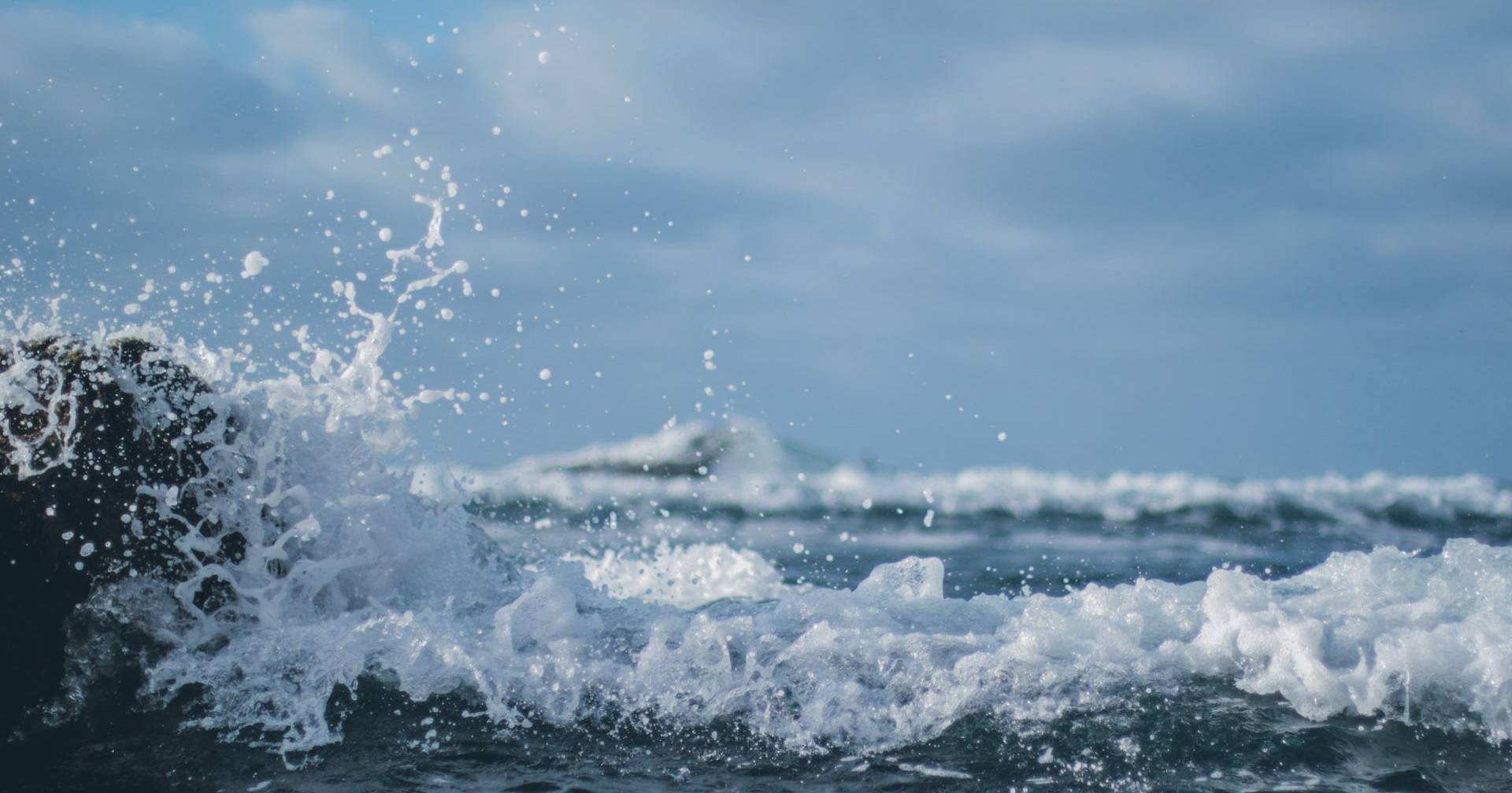 Seres humanos estão a destruir o mar? “Vai aguentar-se, nós é que não ...