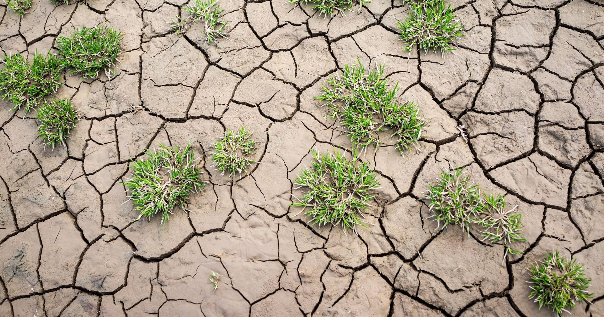 Seca sem fim: 46% do país em seca severa ou extrema - SIC Notícias