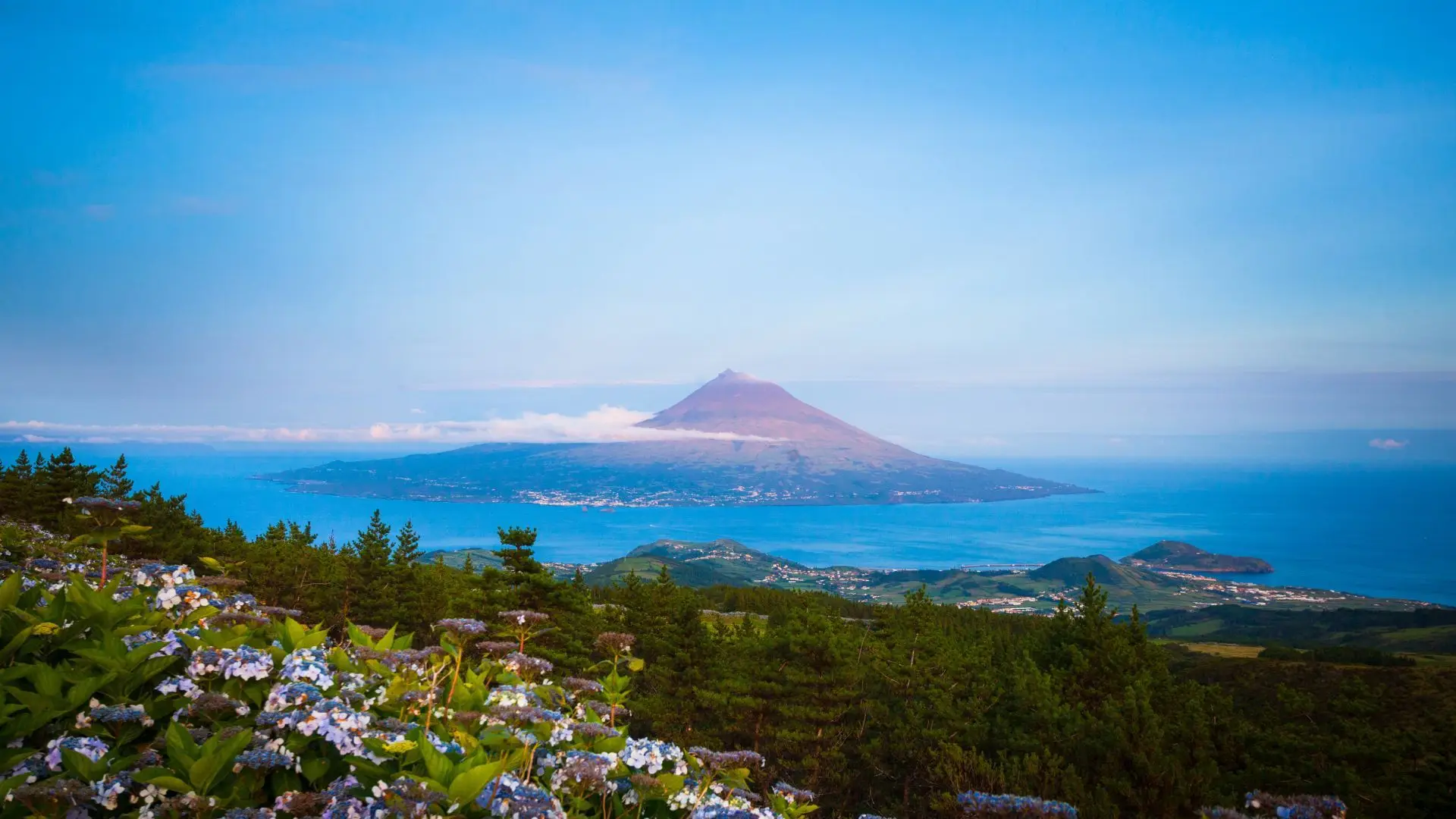 Um morto em queda de hidroavião no mar do Pico, nos Açores - SIC Notícias