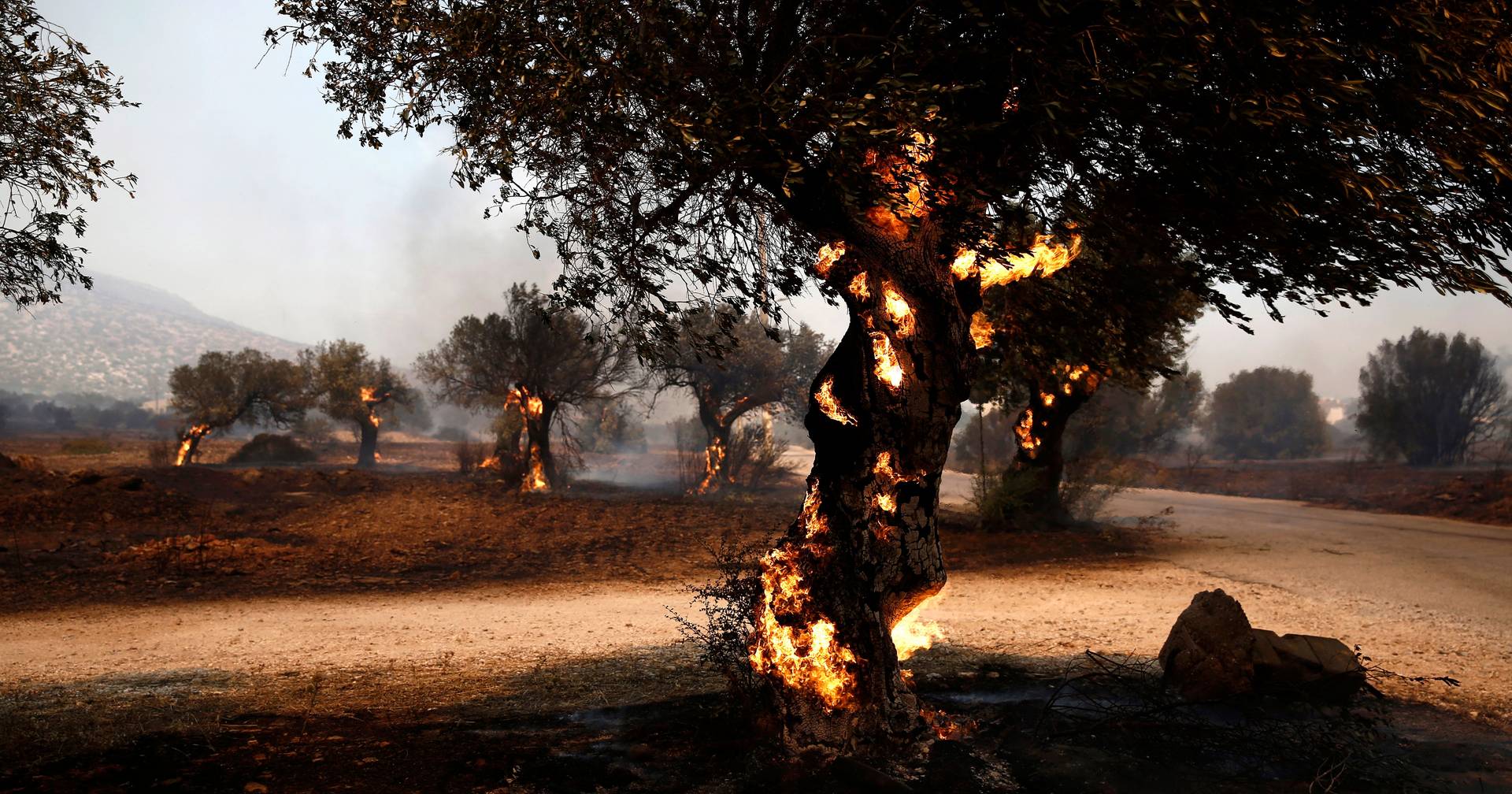 Incêndios na Grécia já destruíram centenas de casas e milhares de ...