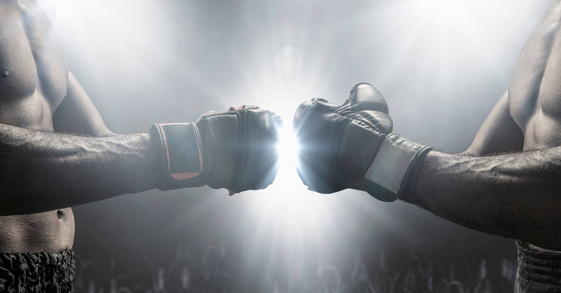 MMA: há um português a dois combates de poder chegar a número 1 mundial ...
