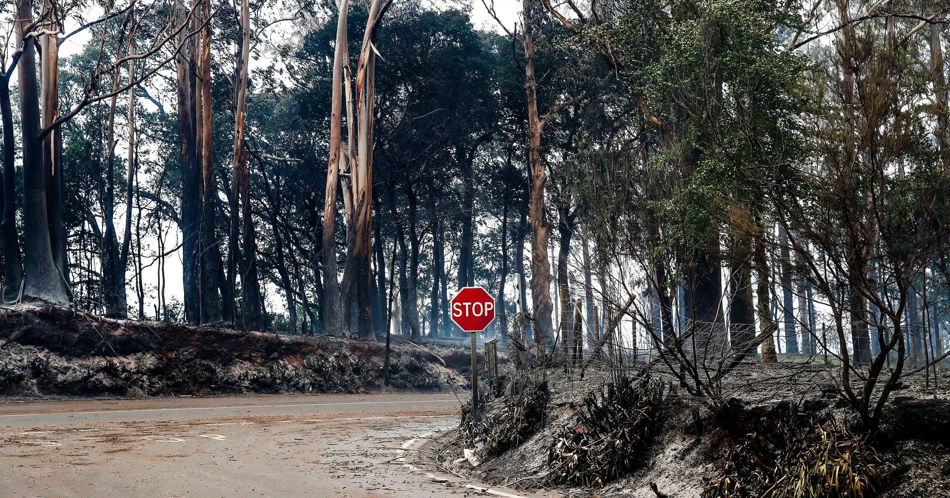 Fogos na Madeira: 70 pessoas assistidas desde quarta-feira - SIC Notícias