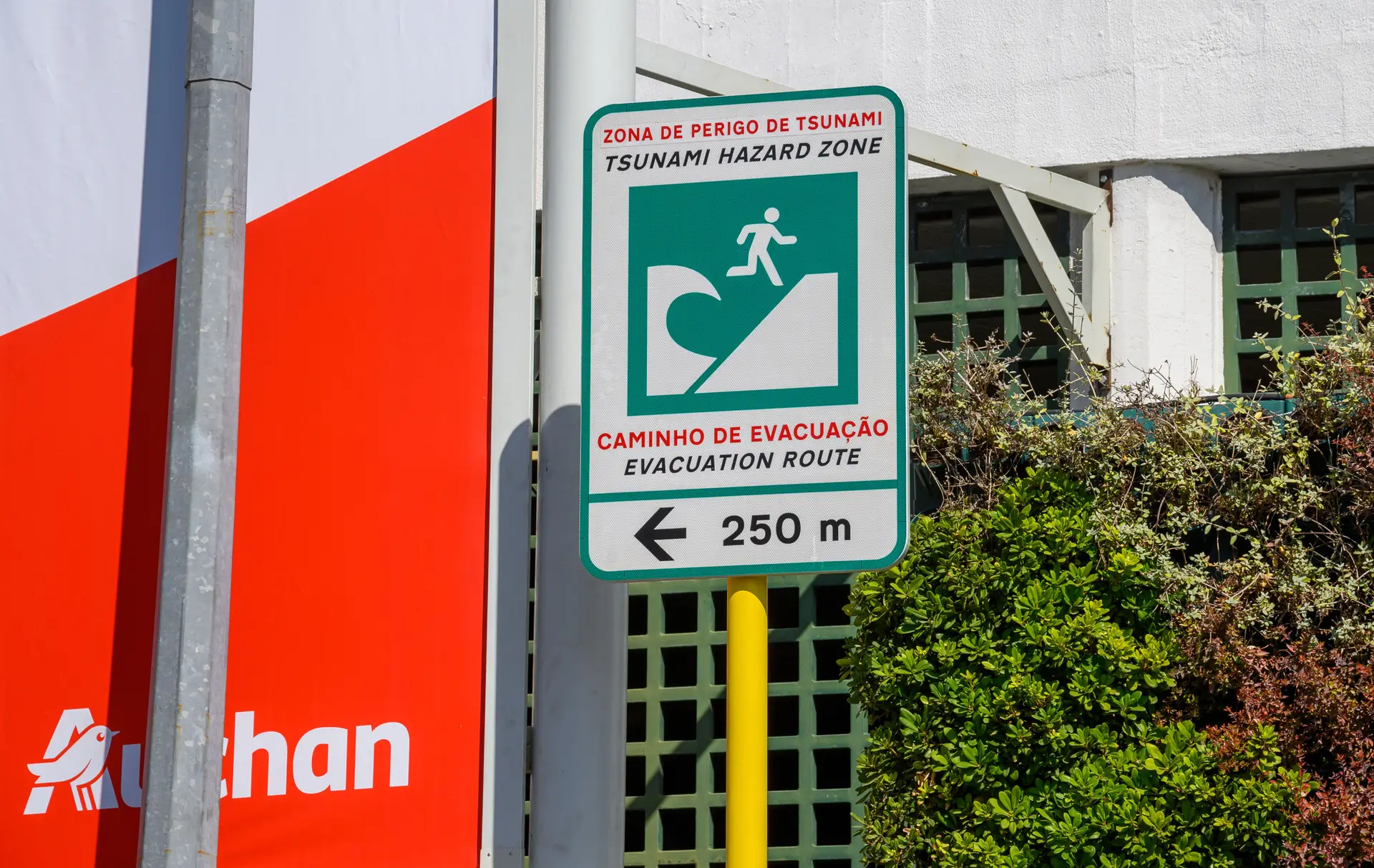 E se houvesse um tsunami em Lisboa? Exército testa preparação e vão ...