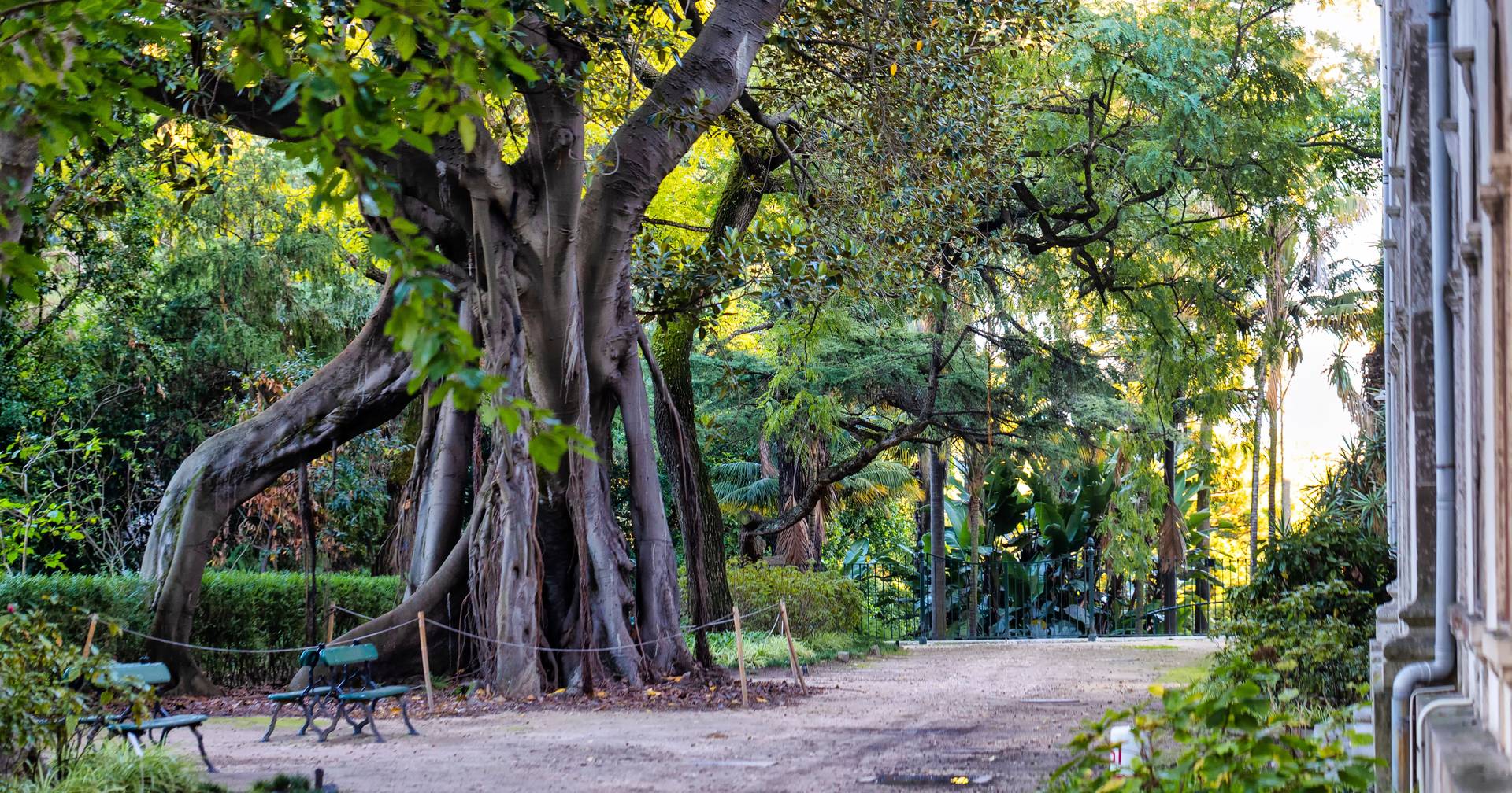 Jardim Botânico De Lisboa Celebra 145 Anos Com Atividades Dos 5 Aos