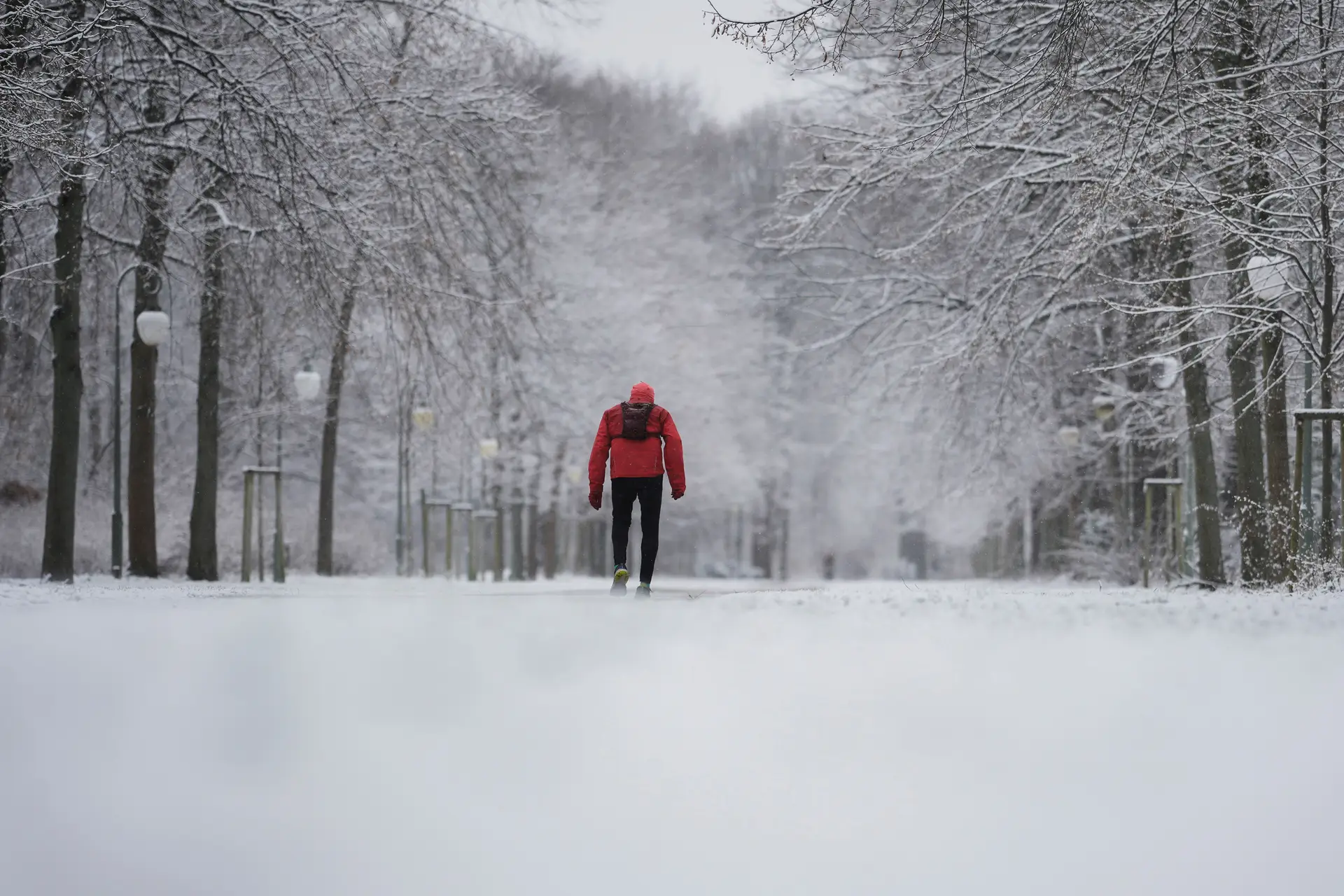 Inverno na Europa: aeroporto de Frankfurt fechado devido ao gelo - SIC ...