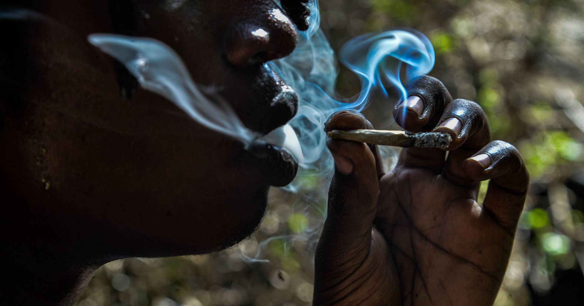 Kush: a droga (misteriosa) que supostamente contém ossos humanos - SIC ...