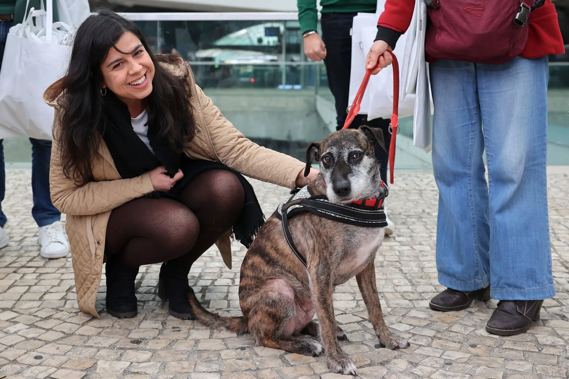 Causa animal motiva "cãominhada" do PAN - SIC Notícias