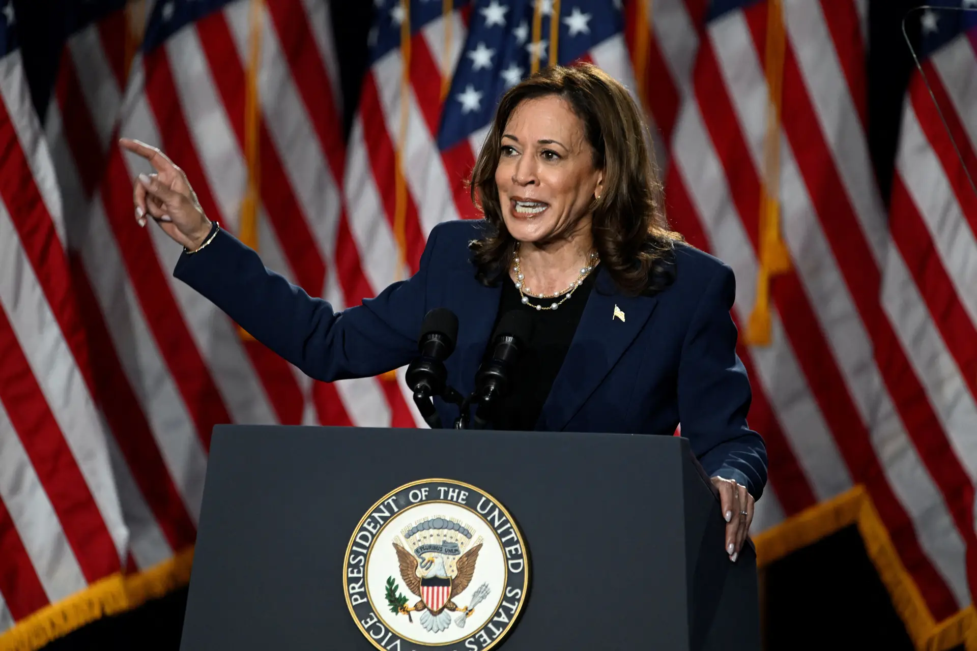 Com os apoios necessários já garantidos, Kamala Harris defende uma ...