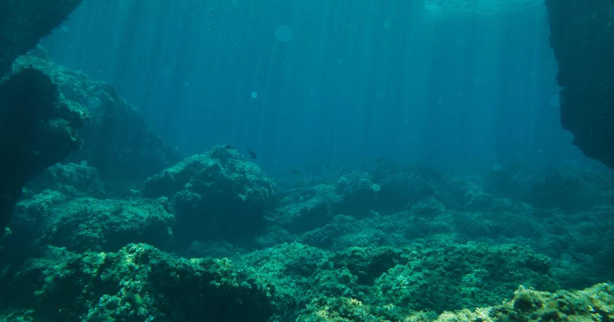 No Dia Nacional de Mar, lembramos que temos a missão de o proteger ...