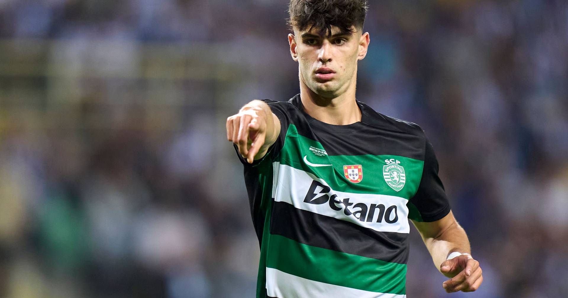 Rodrigo Ribeiro chega ao AVS por empréstimo do Sporting - SIC Notícias