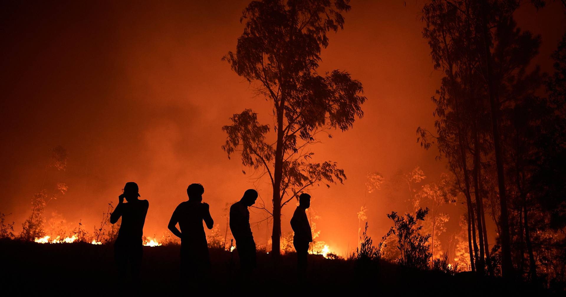 "A noite foi terrível": as imagens impressionantes do incêndio em ...