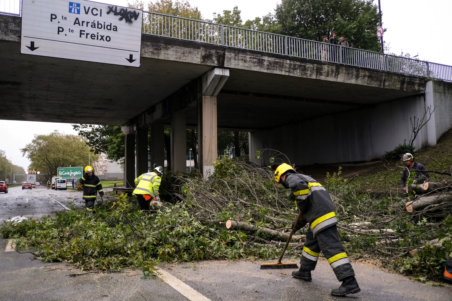 Temporal no Porto obrigou ao corte da avenida AEP - SIC Notícias