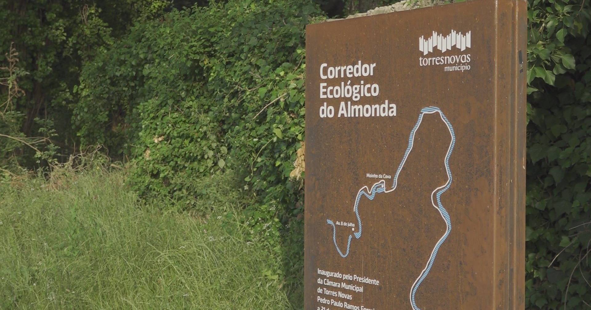Corredor ecológico em Torres Vedras: quatro quilómetros para explorar a ...