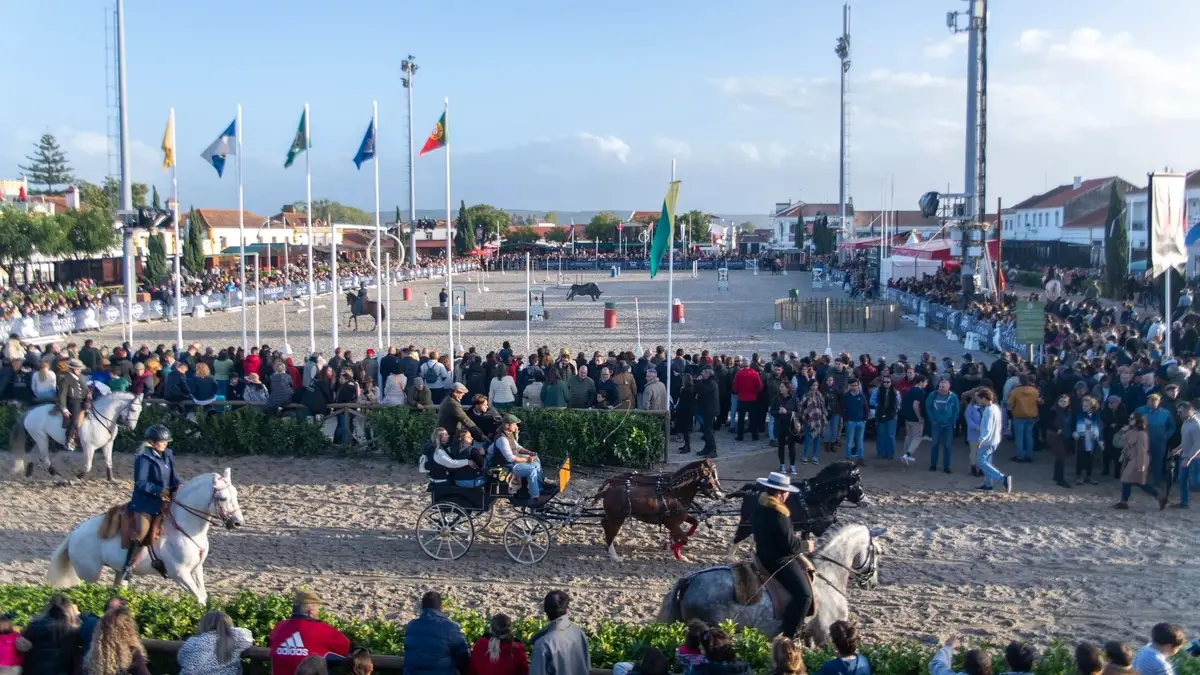 Golegã faz forte investimento na Feira do Cavalo e quer torná-la ...