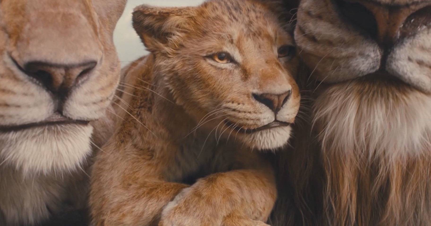 "Mufasa - O Rei Leão": a lenda do pai de Simba contada 30 anos depois ...