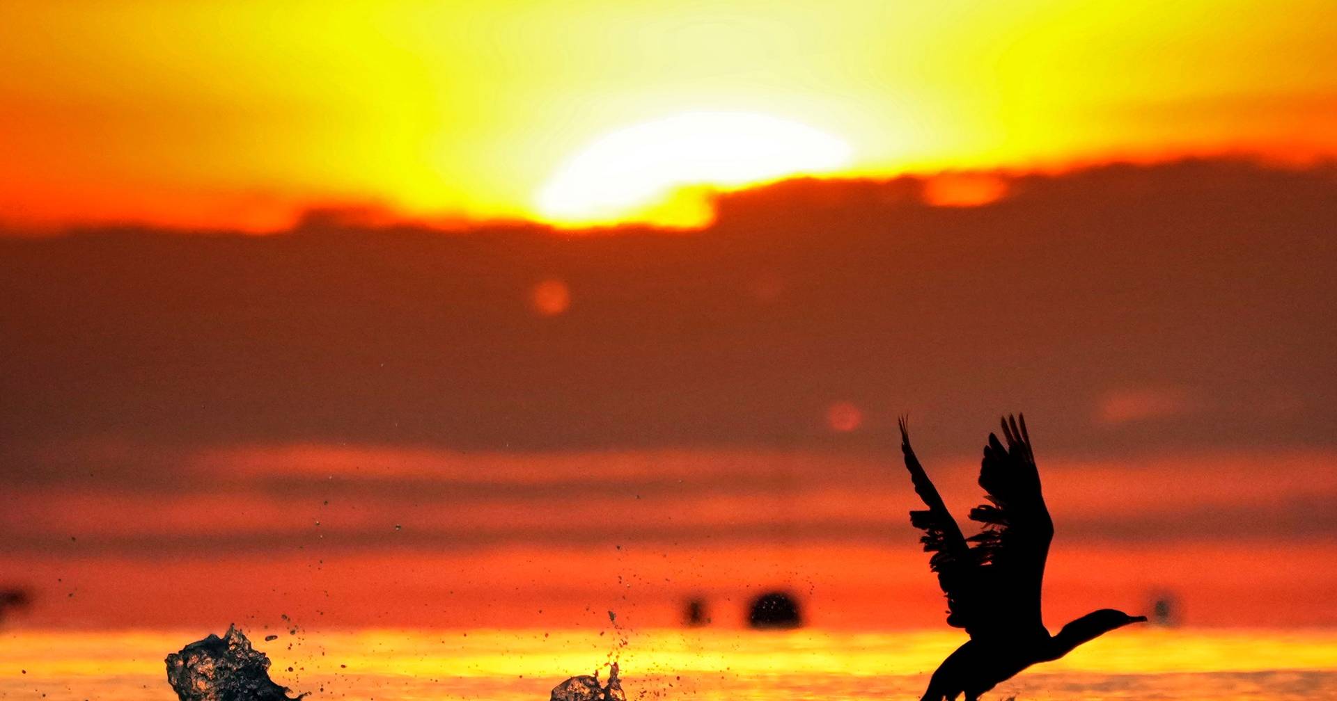 2024 é oficialmente o ano mais quente desde que há registos - SIC Notícias