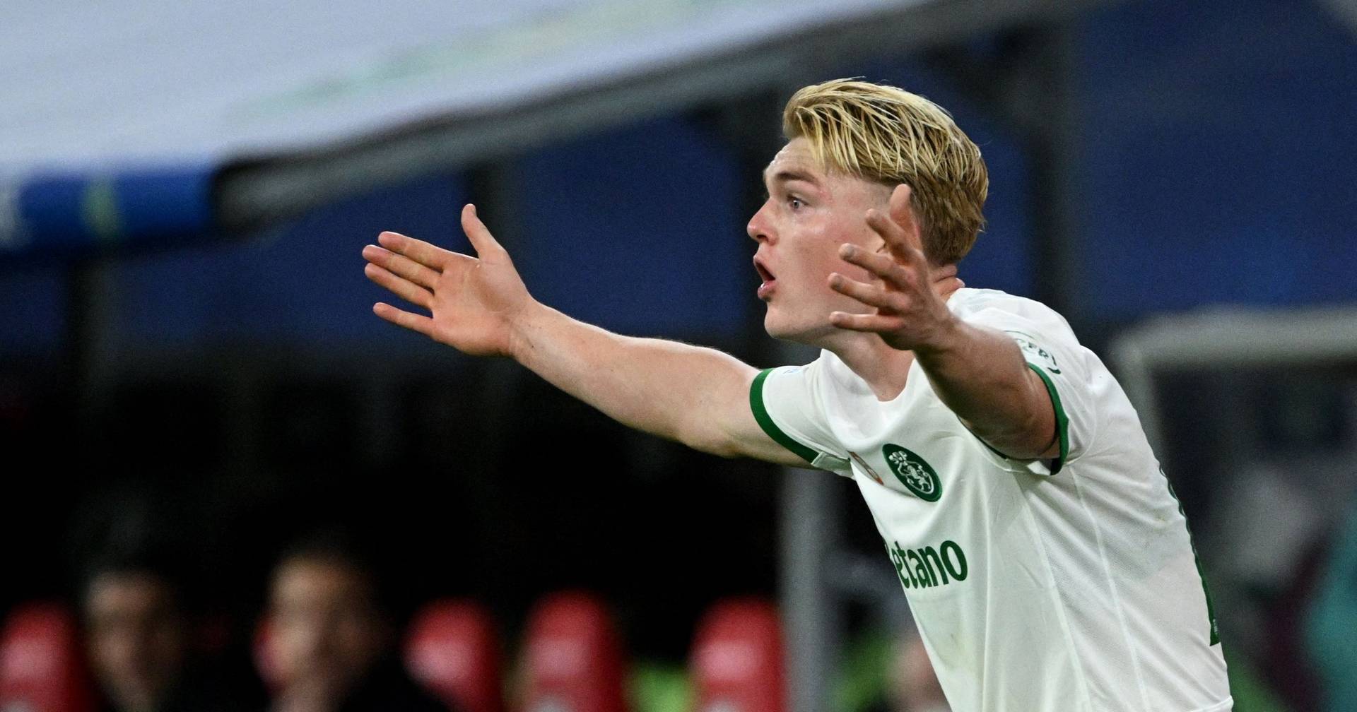 Luís Aguilar: "Rui Borges não deu moral a Harder quando fala de grandes ...