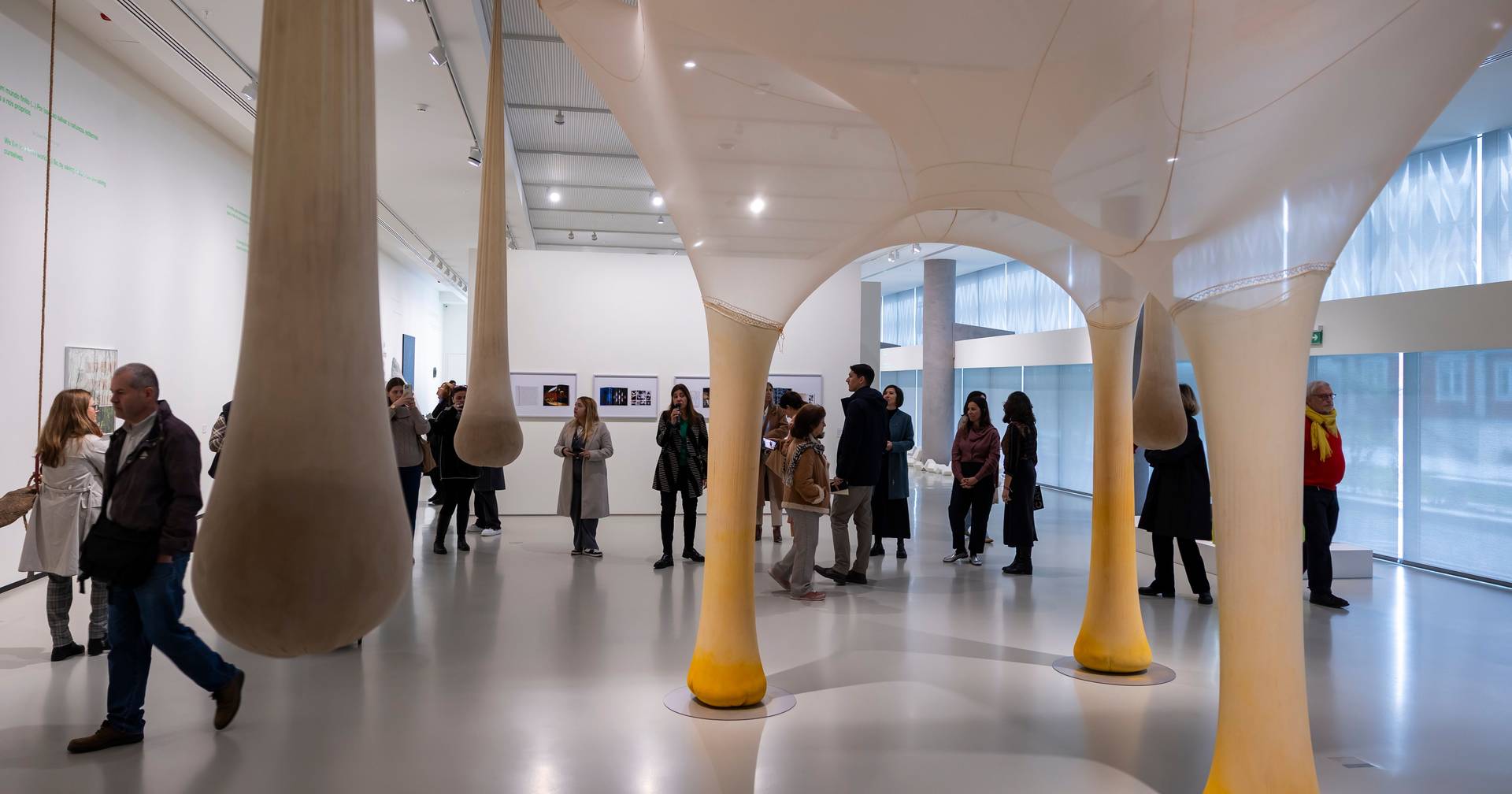 Museu de Arte Contemporânea Armando Martins também é um hotel e já abriu em Lisboa - SIC Notícias