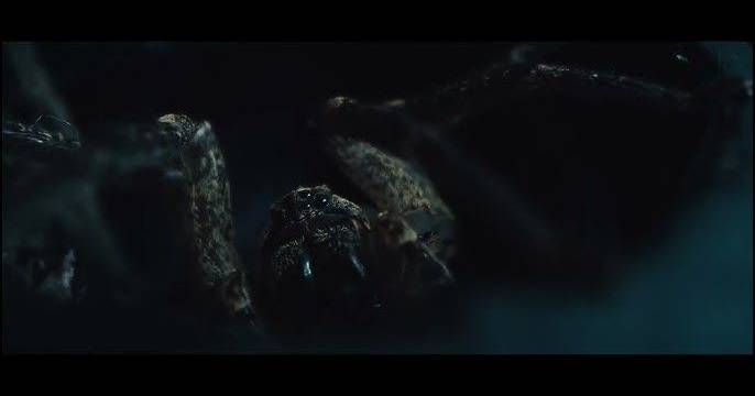 "ATOM & VOID": filme português vence prémio de melhor curta em festival de cinema estónio - SIC ...