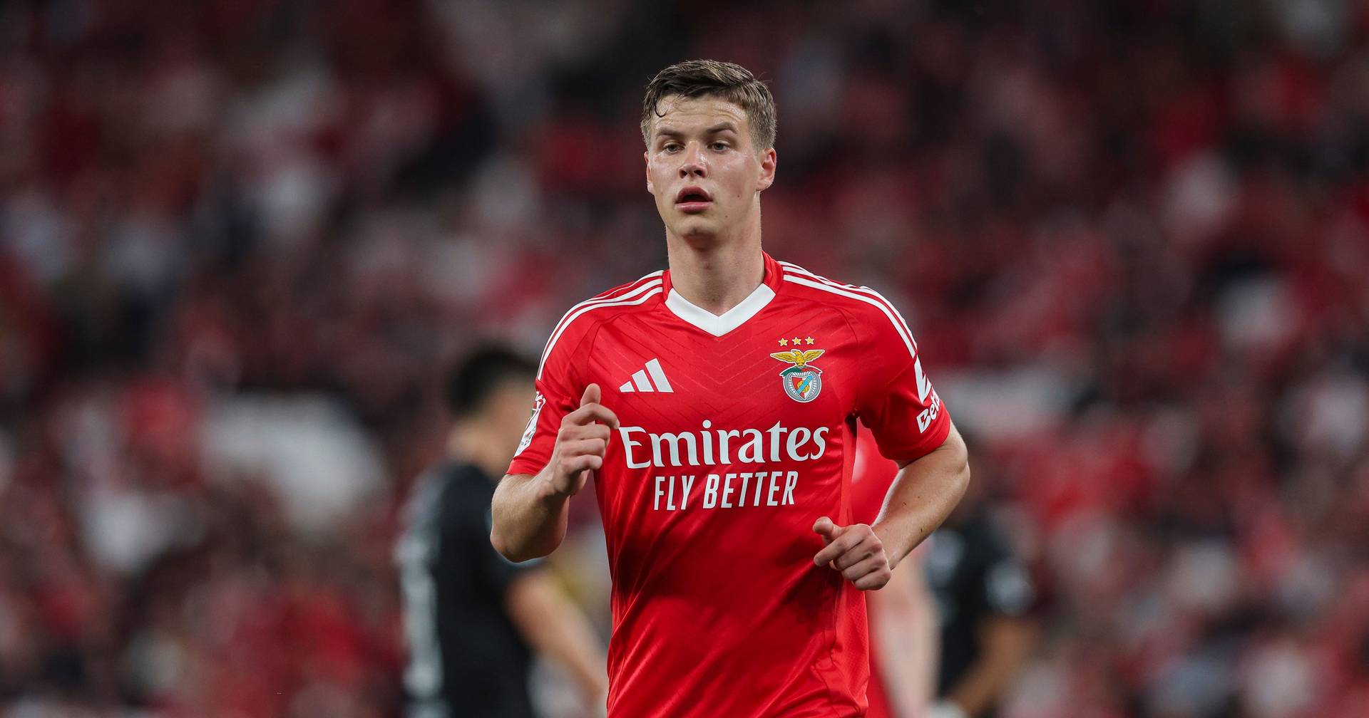 Oficial: Benfica contrata Samuel Dahl em definitivo - SIC Notícias