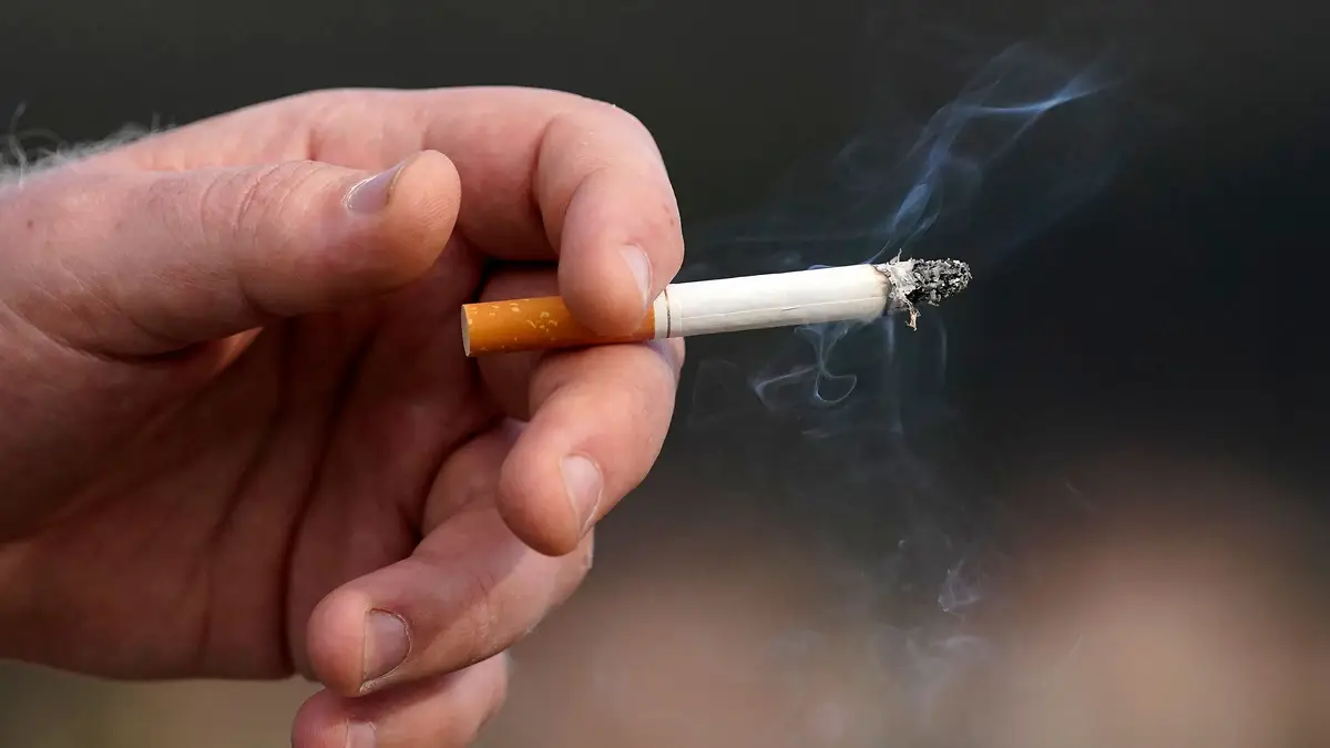 Dia Mundial Sem Tabaco: pneumologistas alertam para estratégias das ...