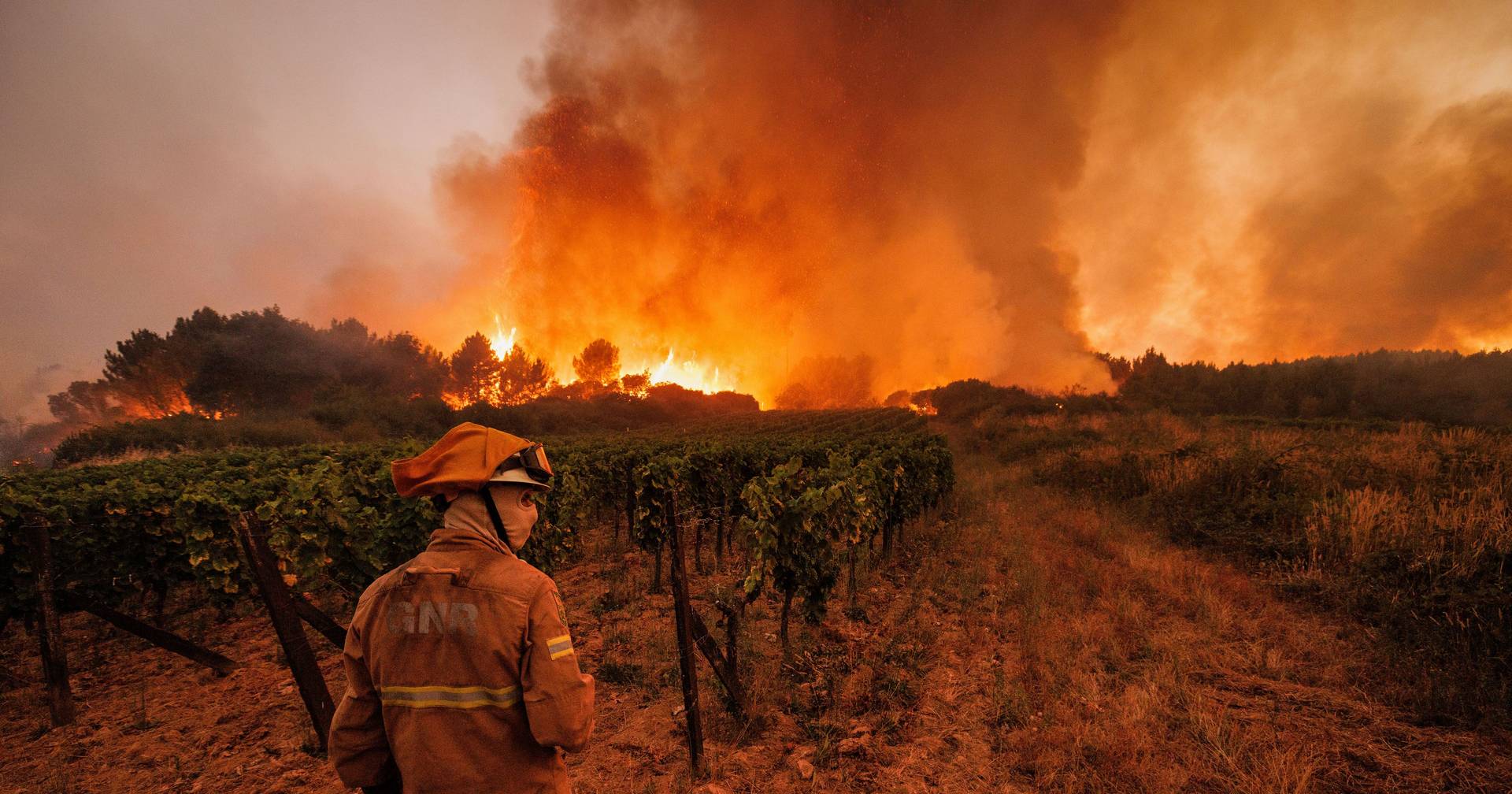 Incêndio em Sabrosa reativa-se um dia após ter sido dado como dominado ...